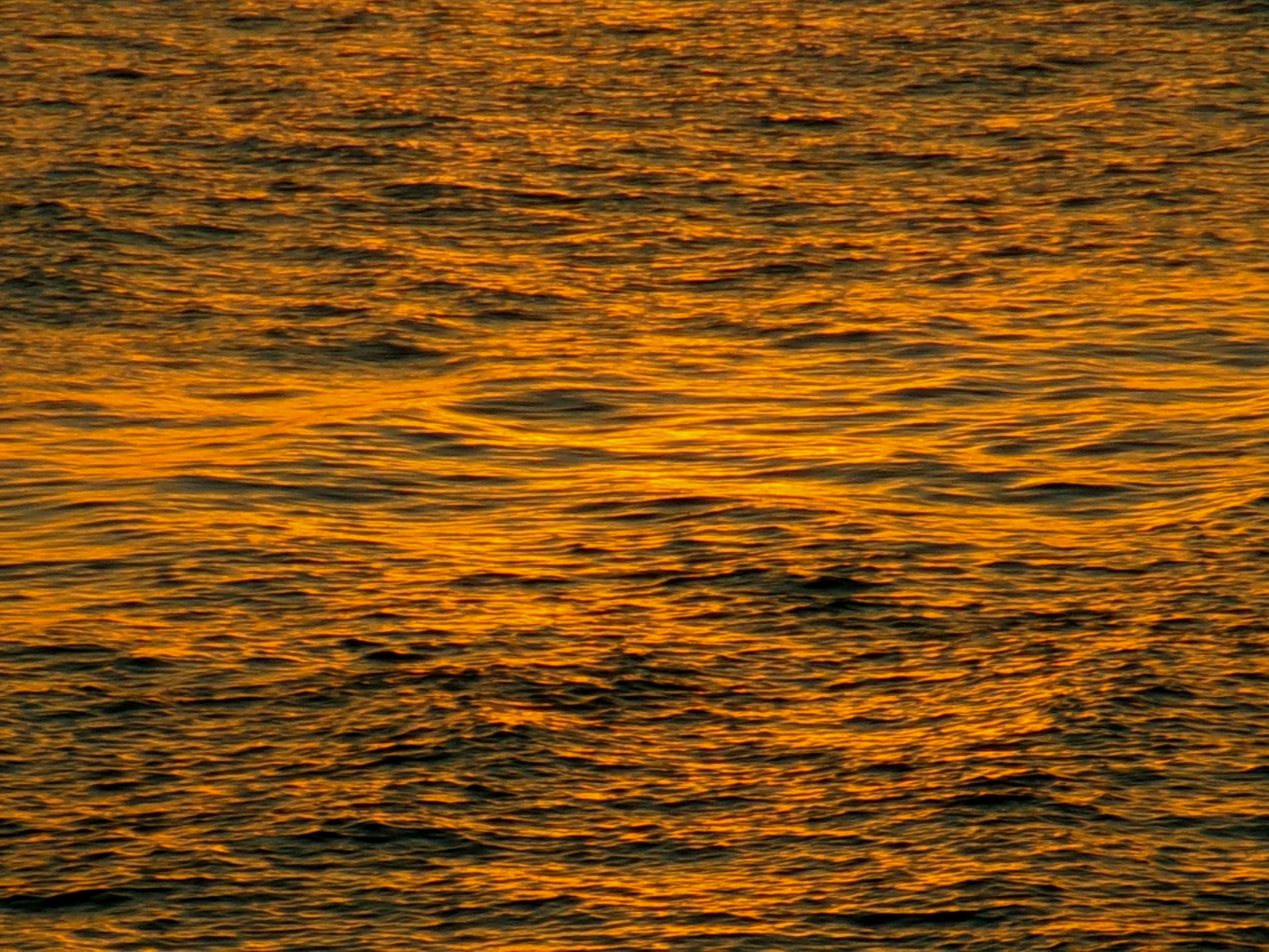Golden Ripples: Sunset at the Water’s Edge