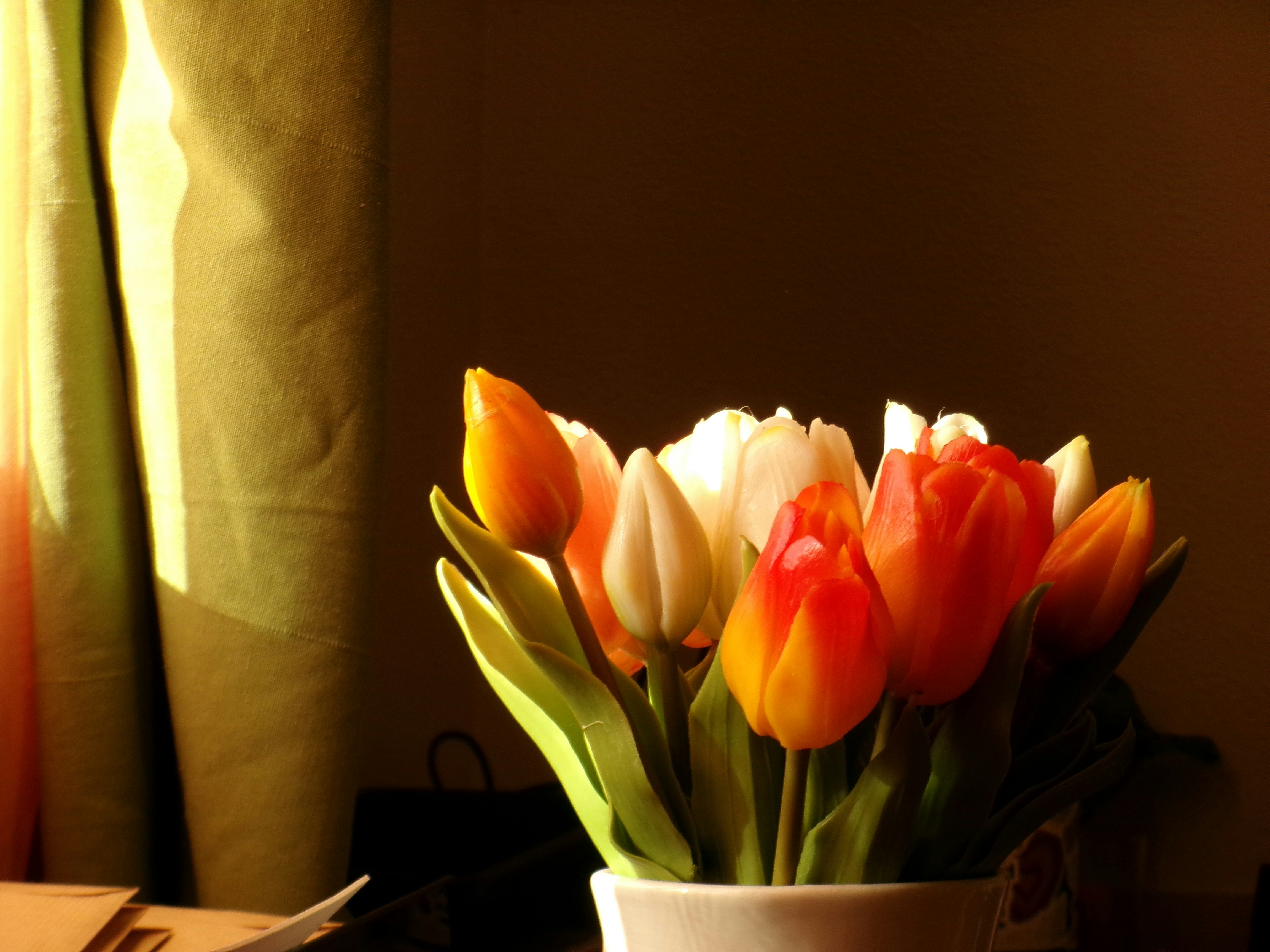 Tulips by the Window: Warm Light on a Quiet Still-life