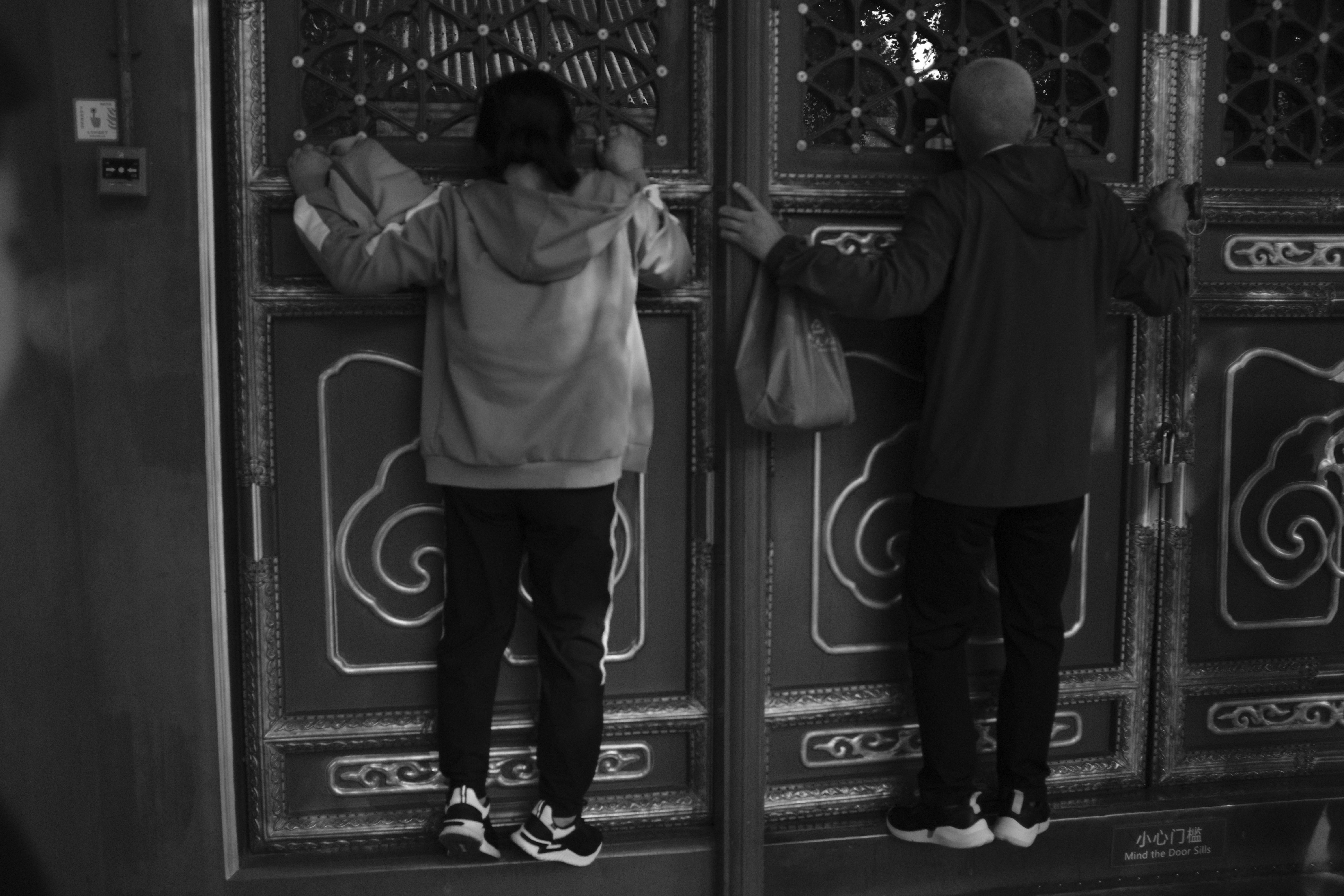 Two Figures Grasping Ornate Doors in a Silent Dwelling