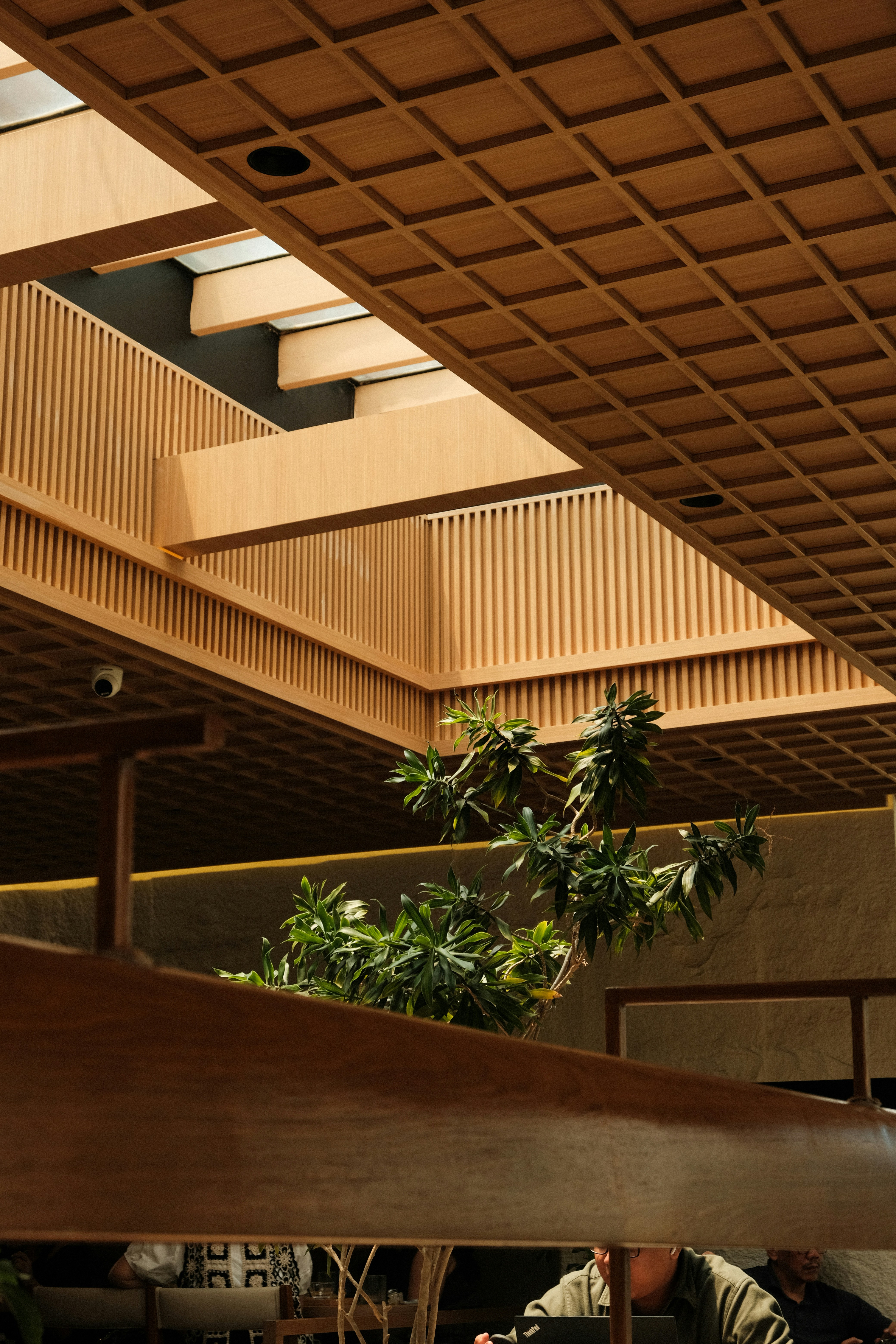 Geometric Warmth: Wooden Architecture Framed by Indoor Foliage