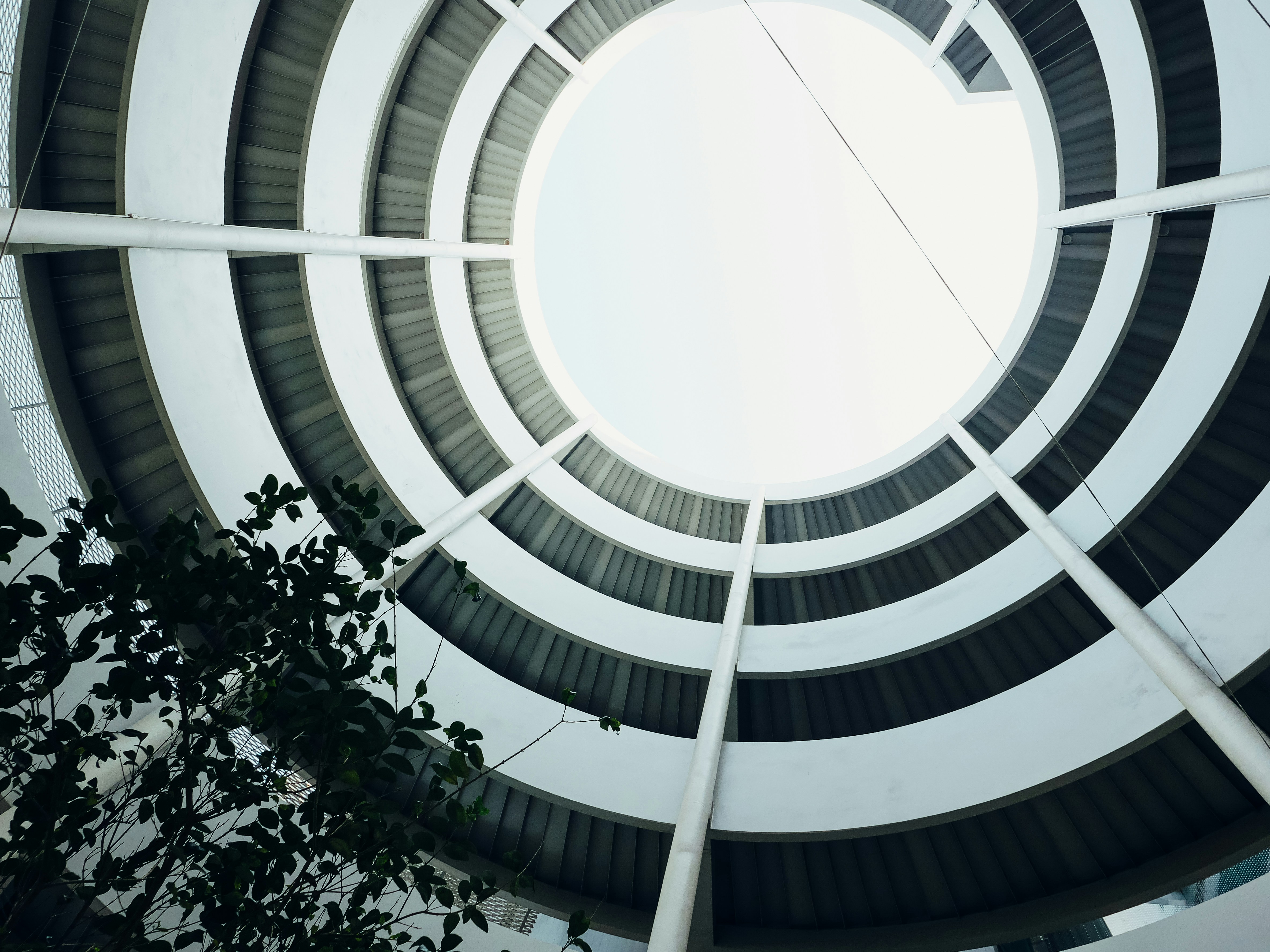 Circular Atrium Rings: A Descent into Architecture