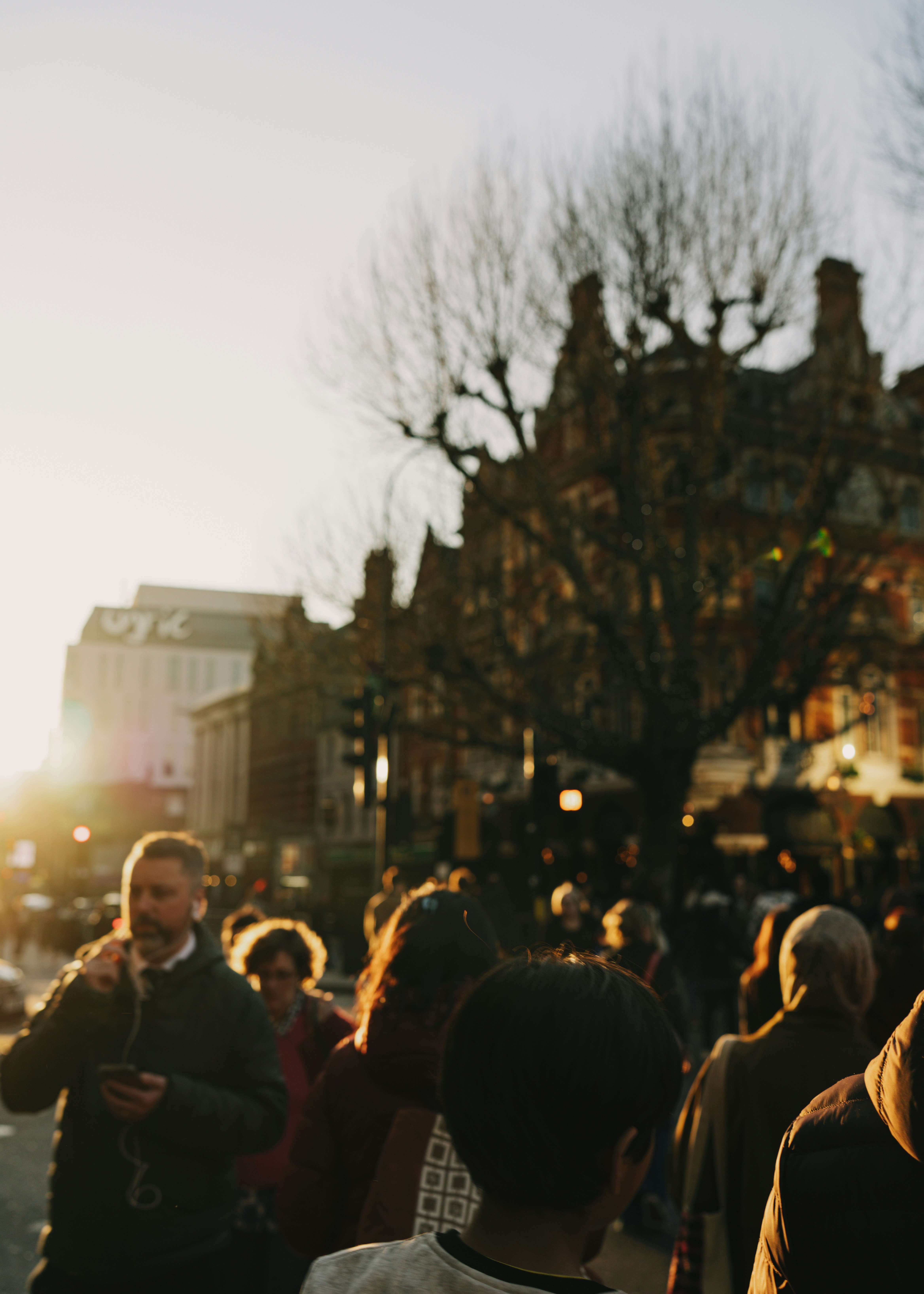Sunlit Street Chorus: Evening Crowd Near Historic Trees