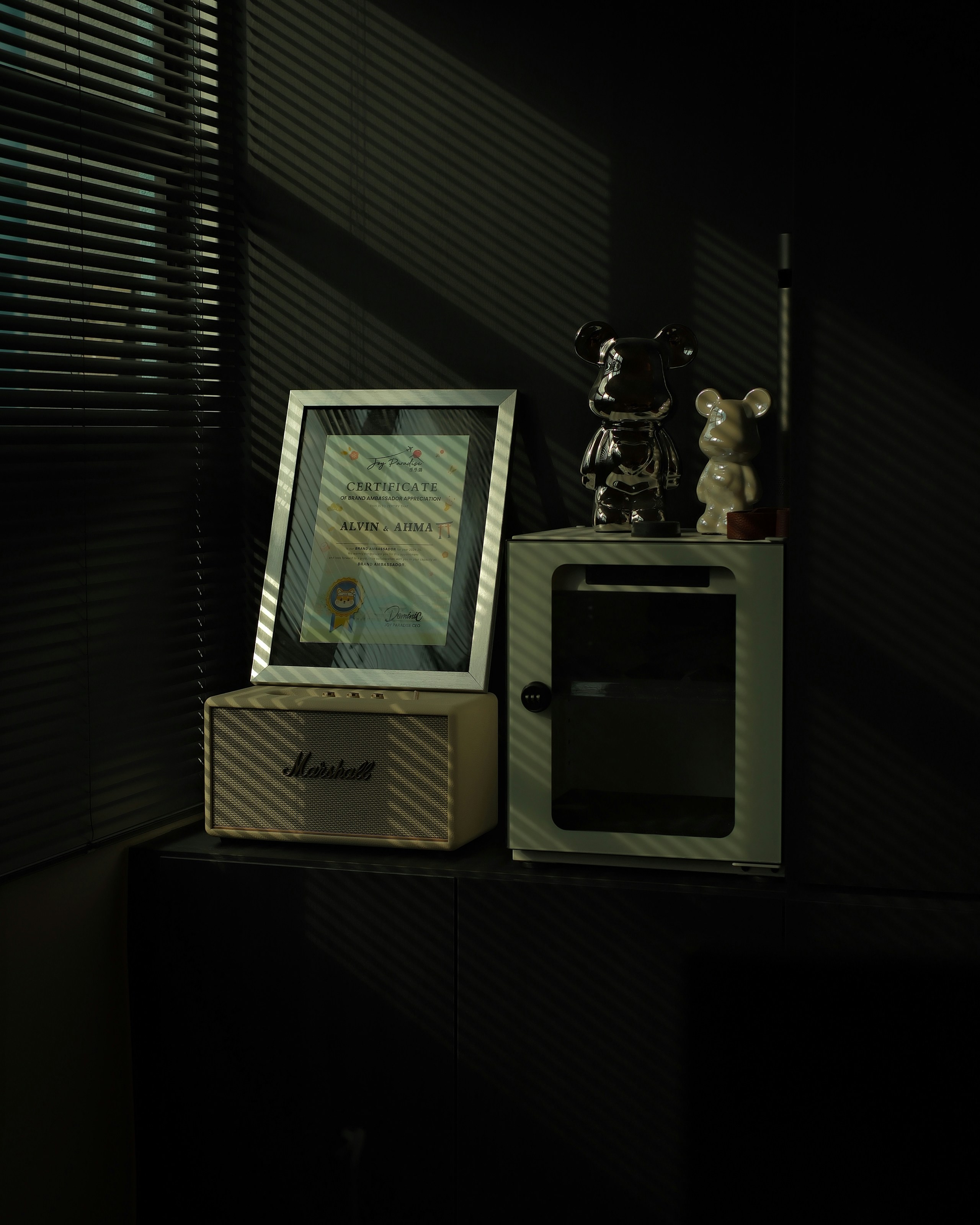Shadowed Shelves: A Quiet Corner of Retro Echoes