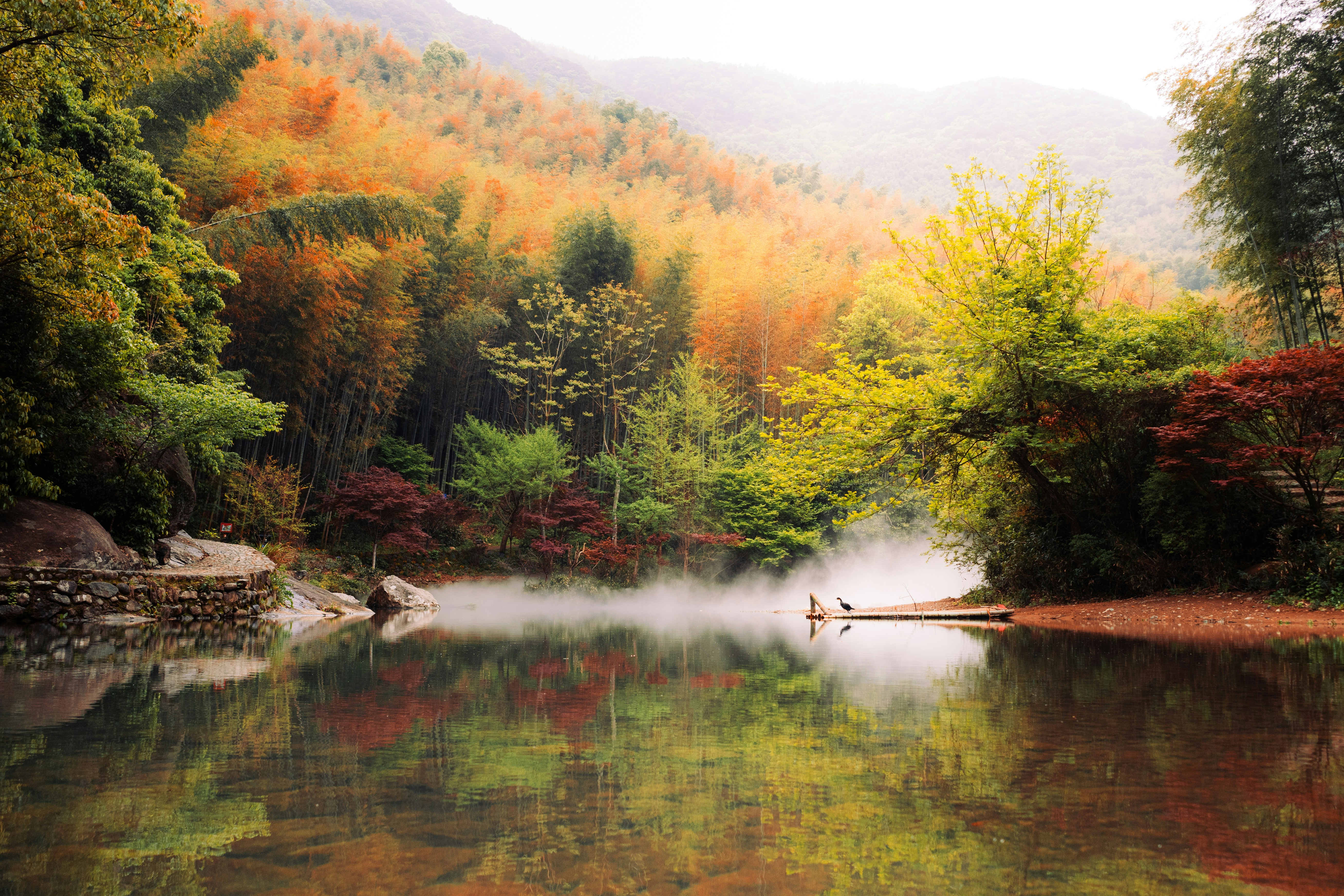 Autumn Mirror: Mist over a Quiet Lake