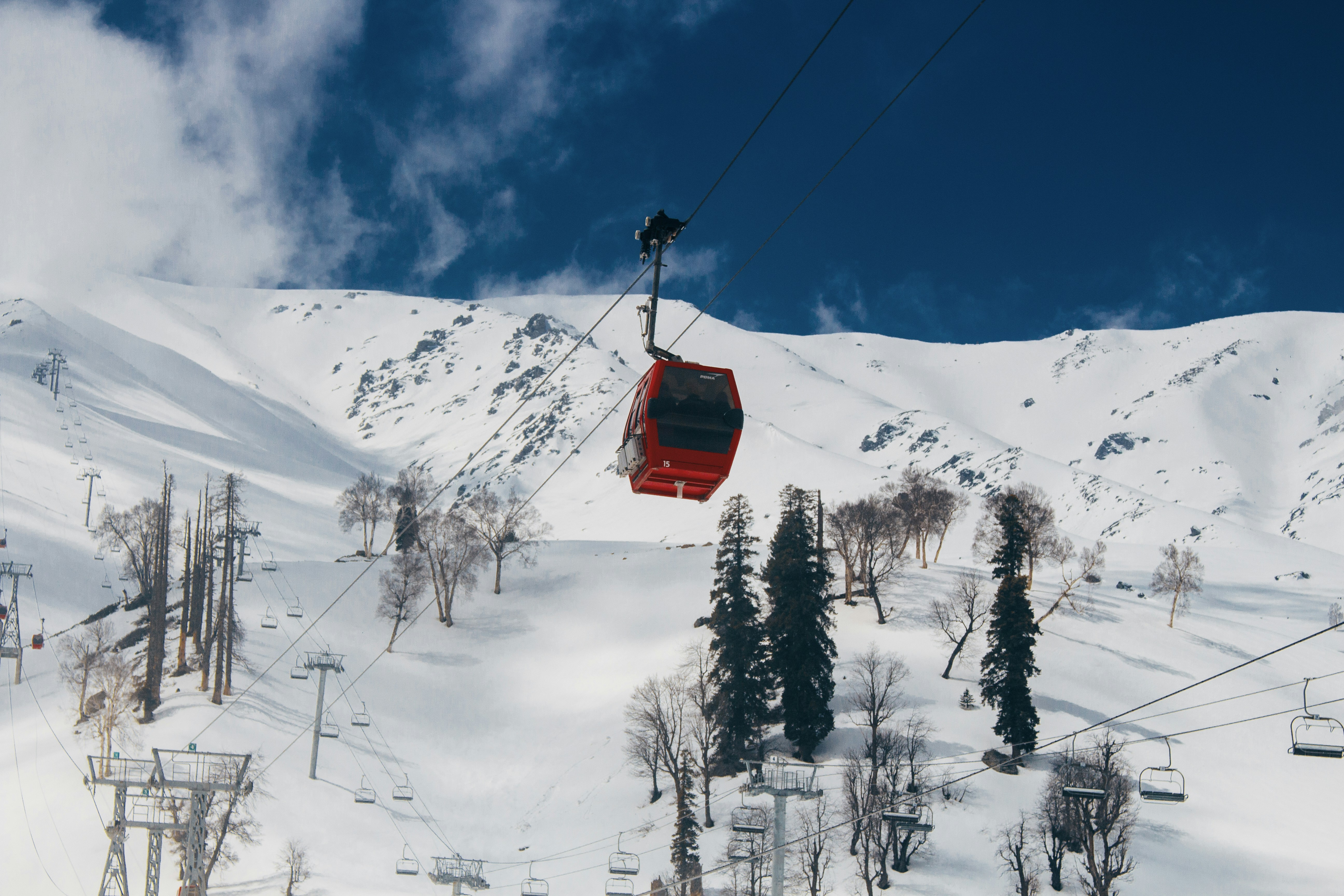 Red Cable Car Over Powdered Slopes: A Quiet Ascent Above the Pines