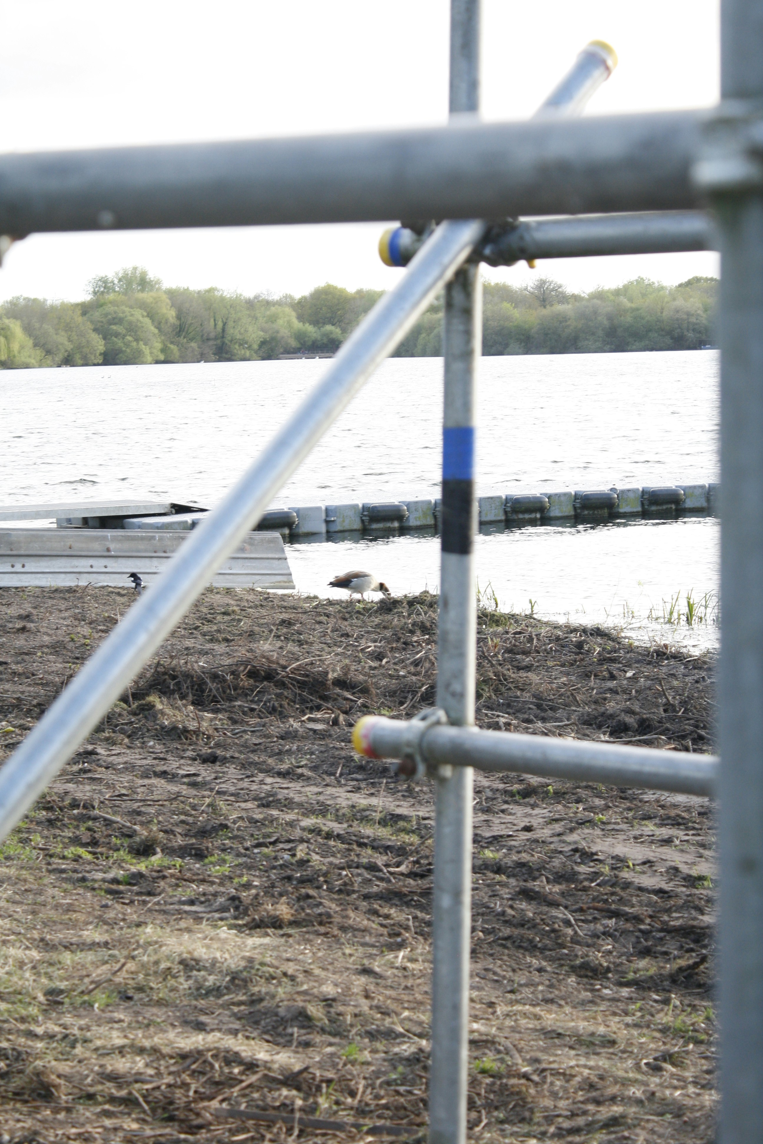 Framing the Lake: Scaffold Lines Converge on Tranquil Waters