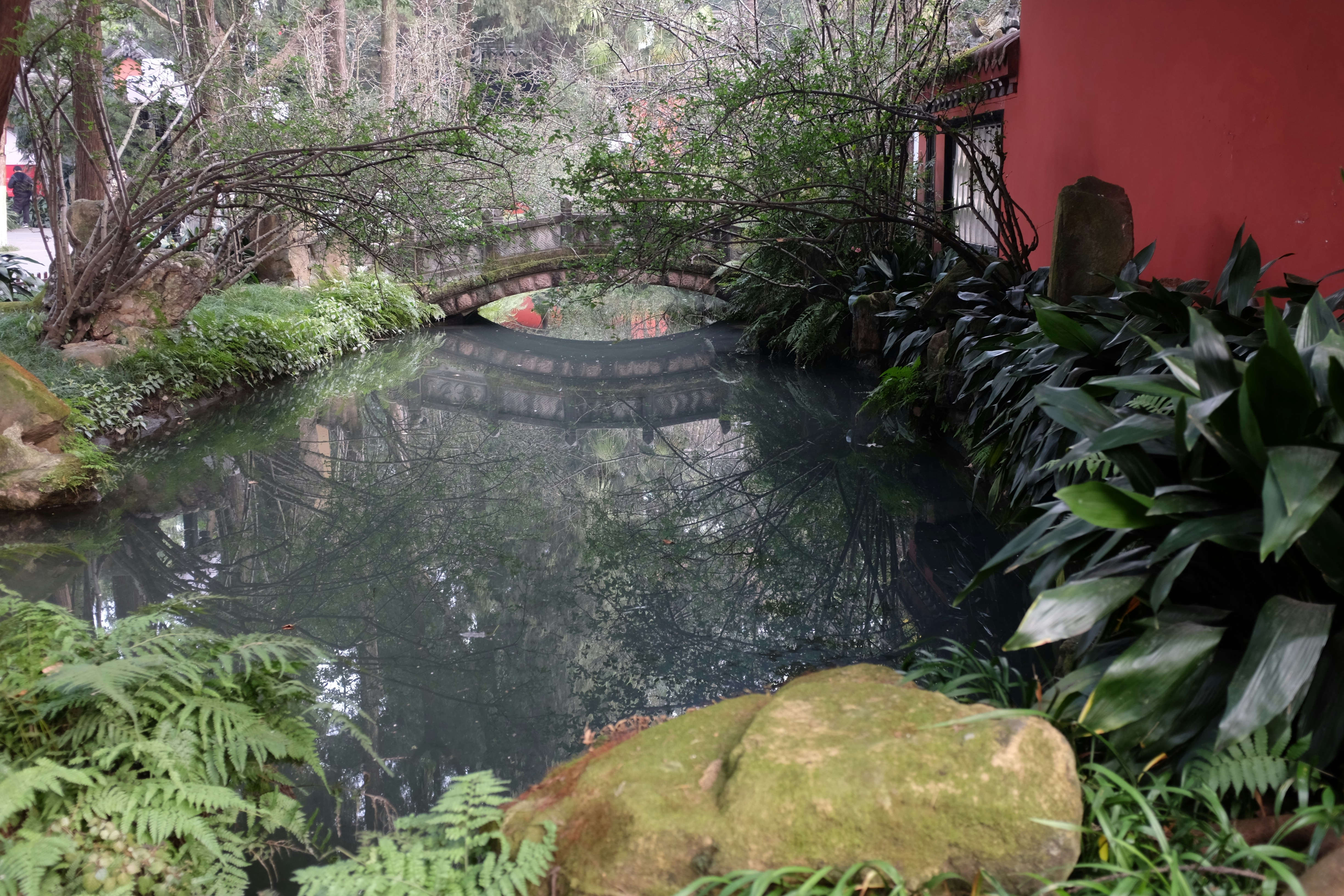 Bridge and Pond Reverie: A Quiet Path Through the Chinese Garden