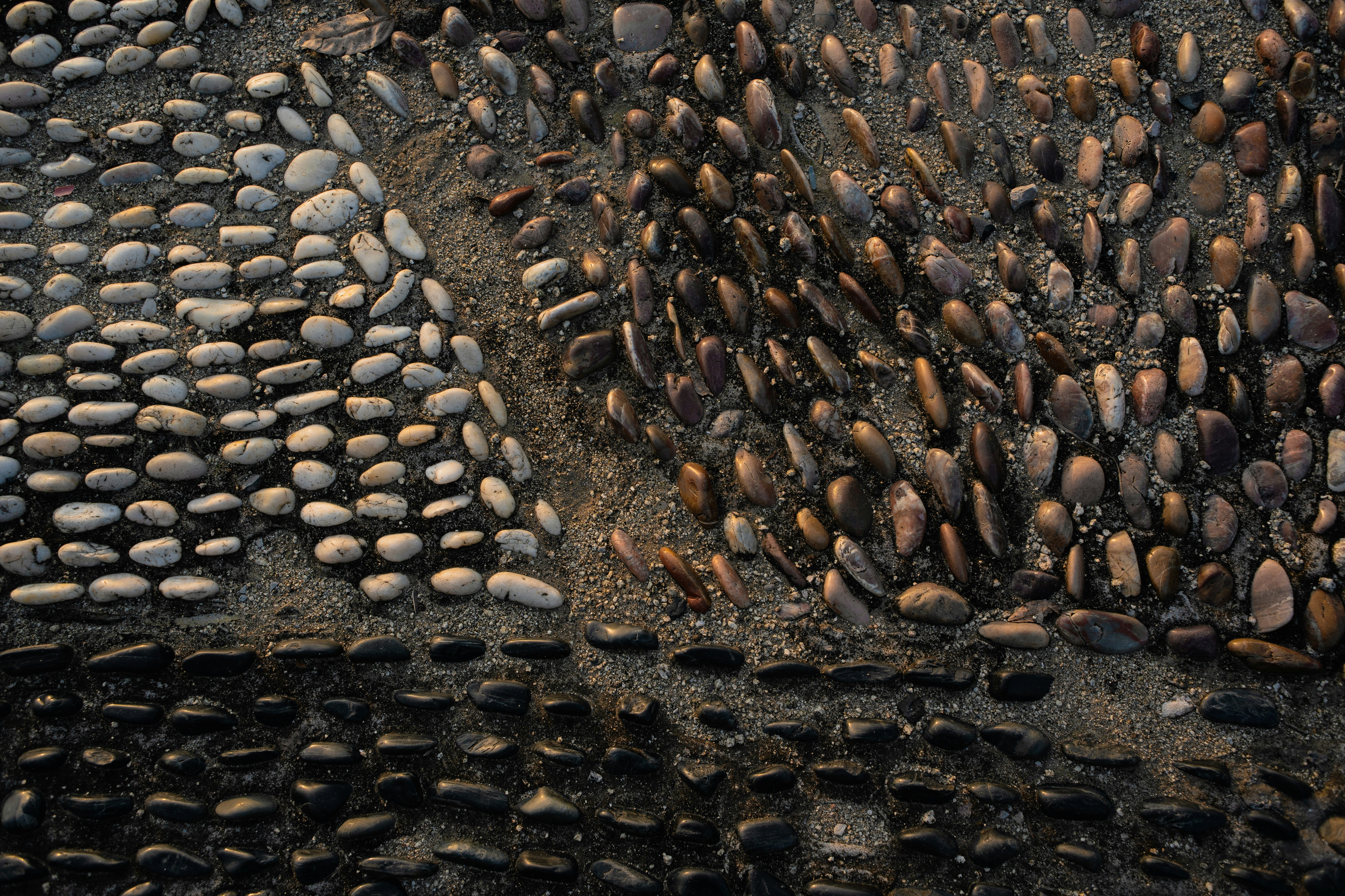Pebble Mosaic: A Textural Study of Shoreline Stones in Dual Tocality