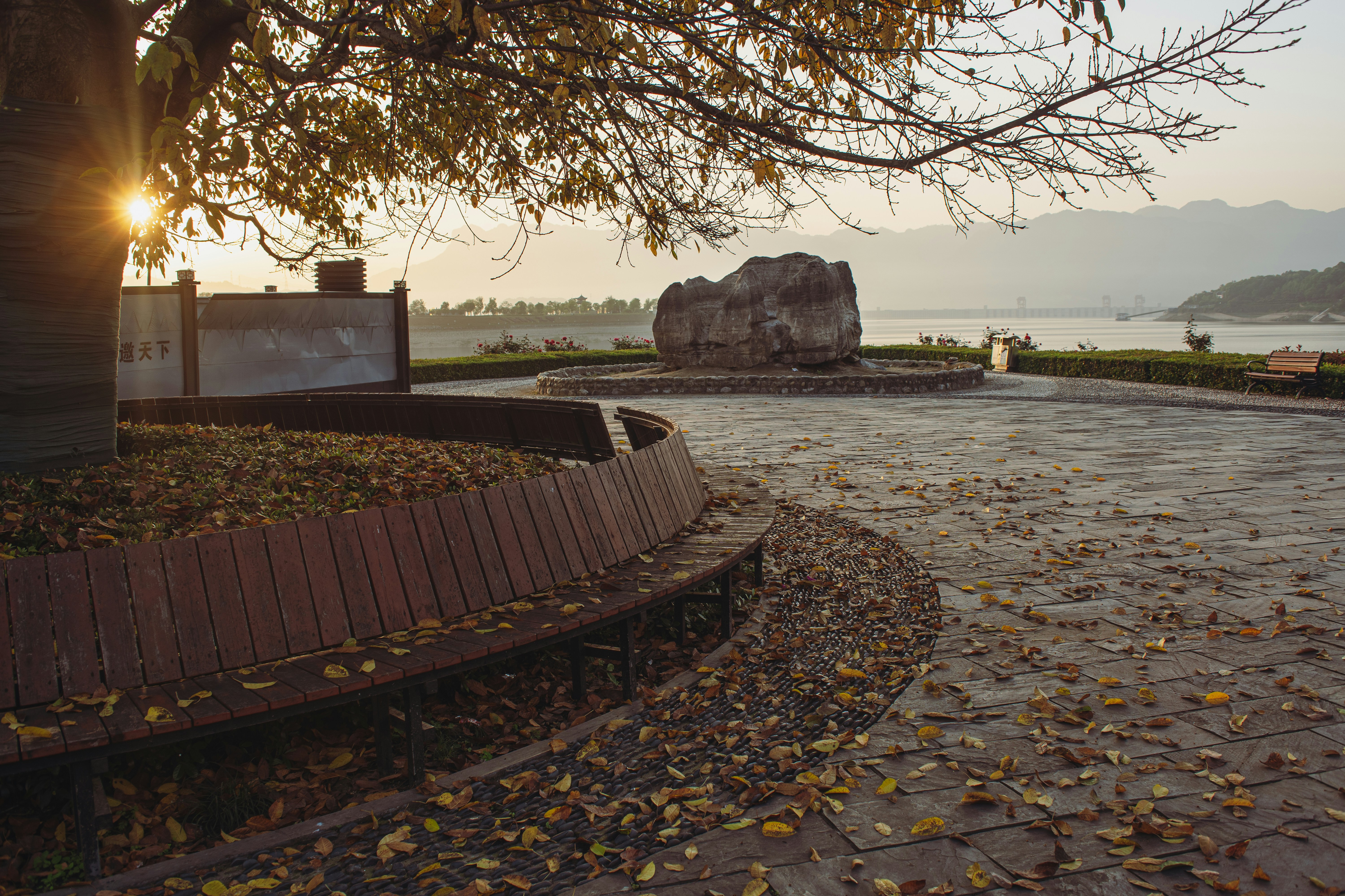 Sunlit Harbor Promenade: Quiet Tree Shade and Fallen Leaves