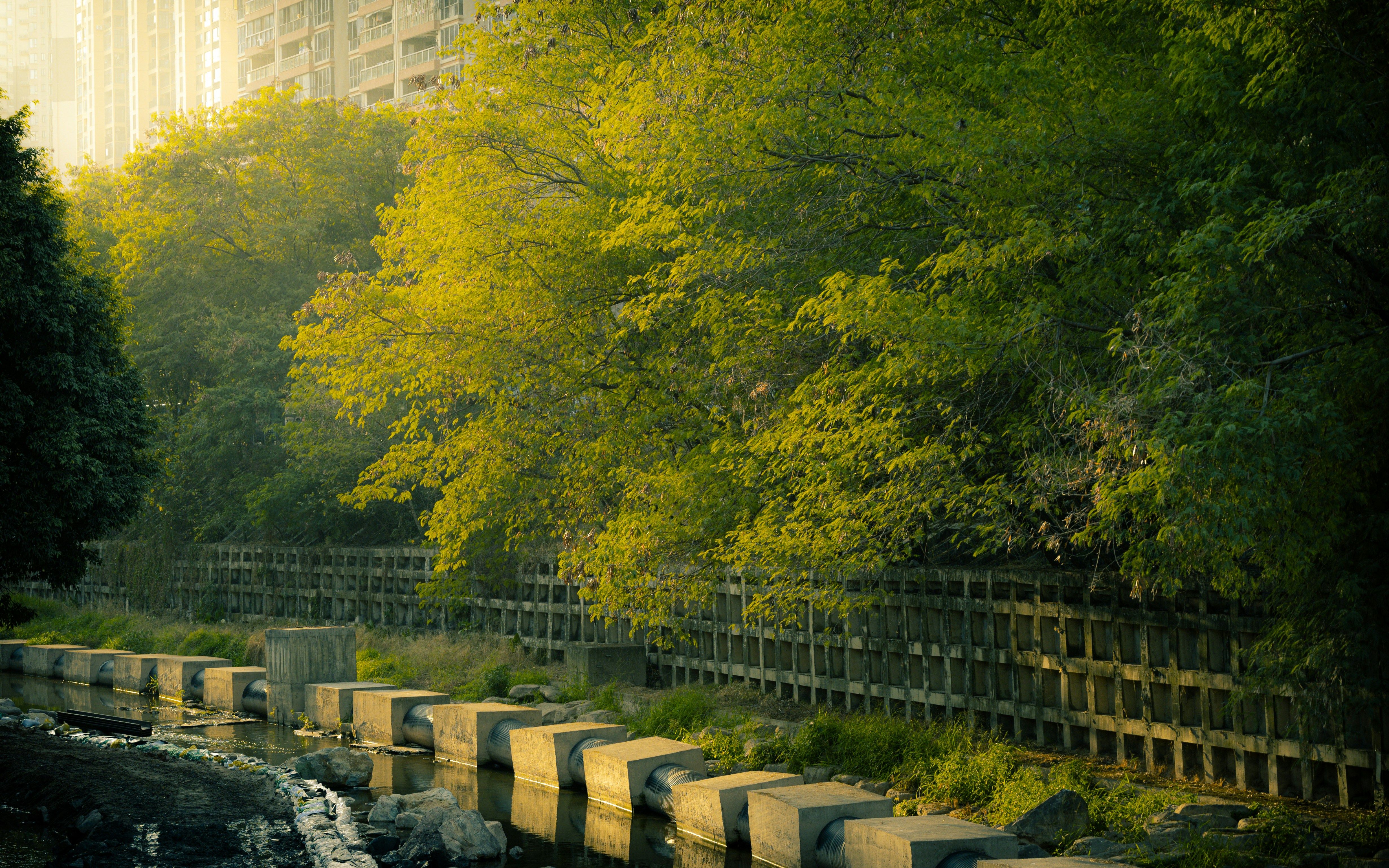 Golden Hour along the Concrete Canal