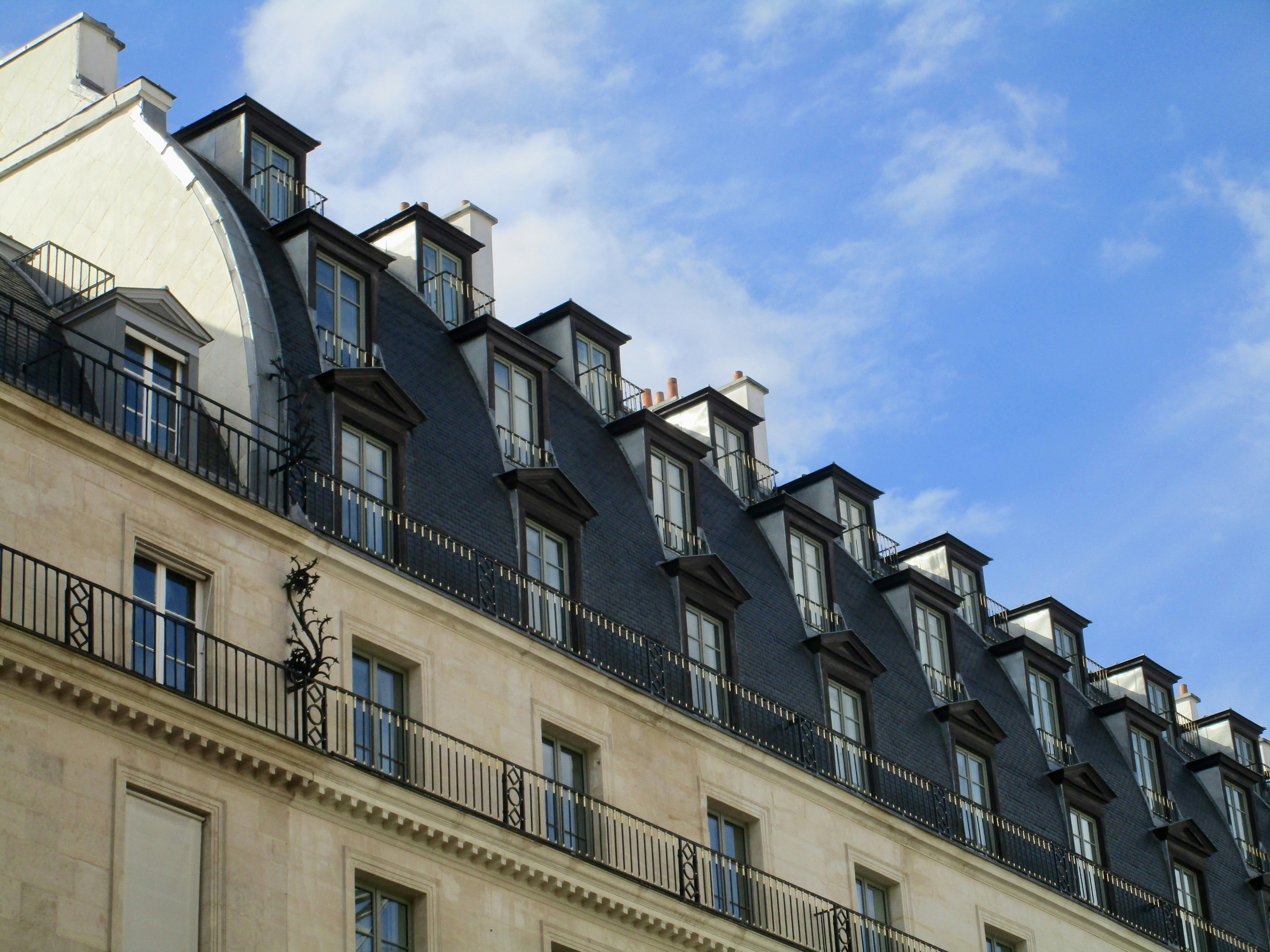 Row of Mansard Roofs under a Bright February Sky