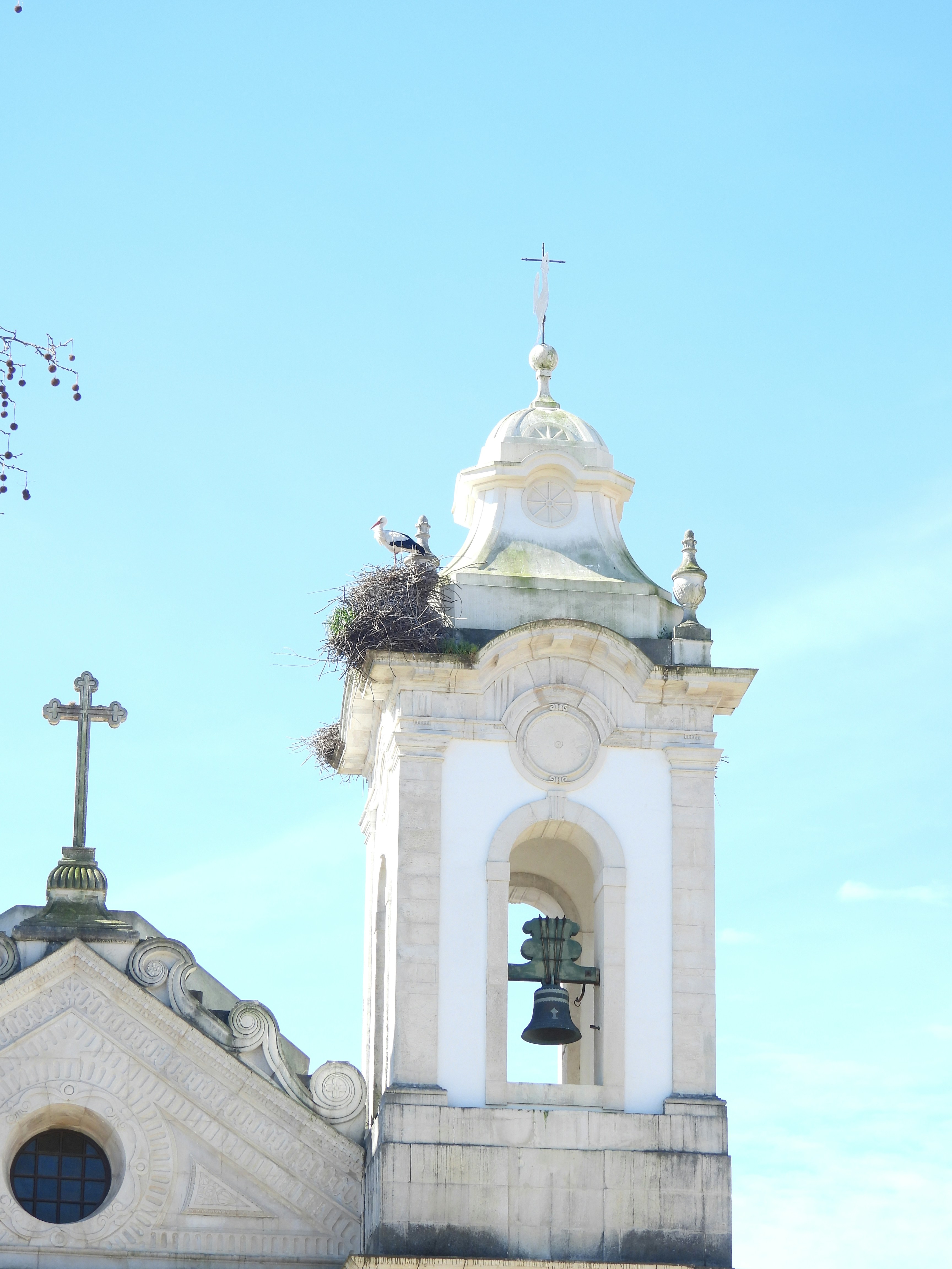 Nest on the Spire: A Church Bell Tower under a Clear Sky