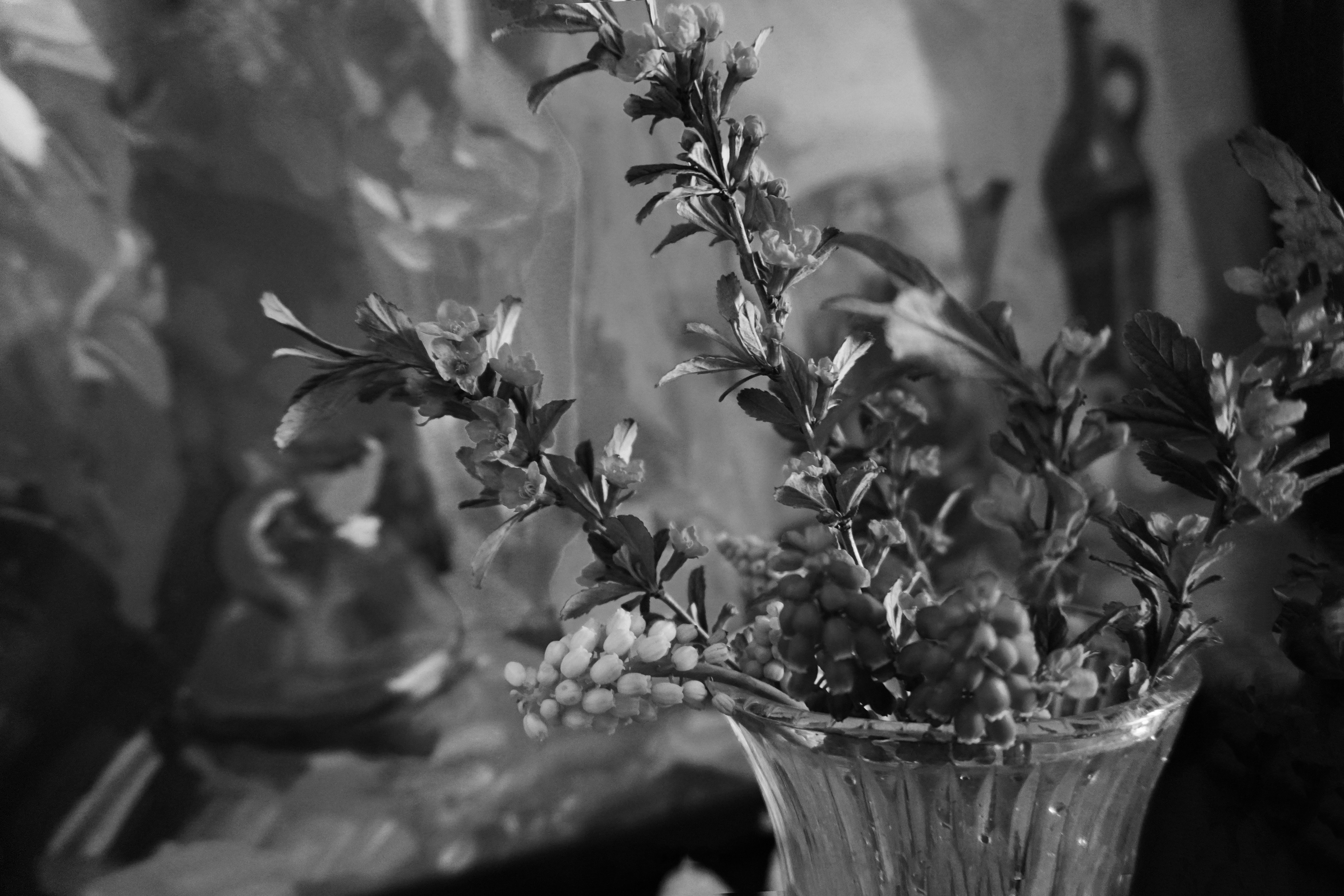 Monochrome still life of a bouquet in a glass vase
