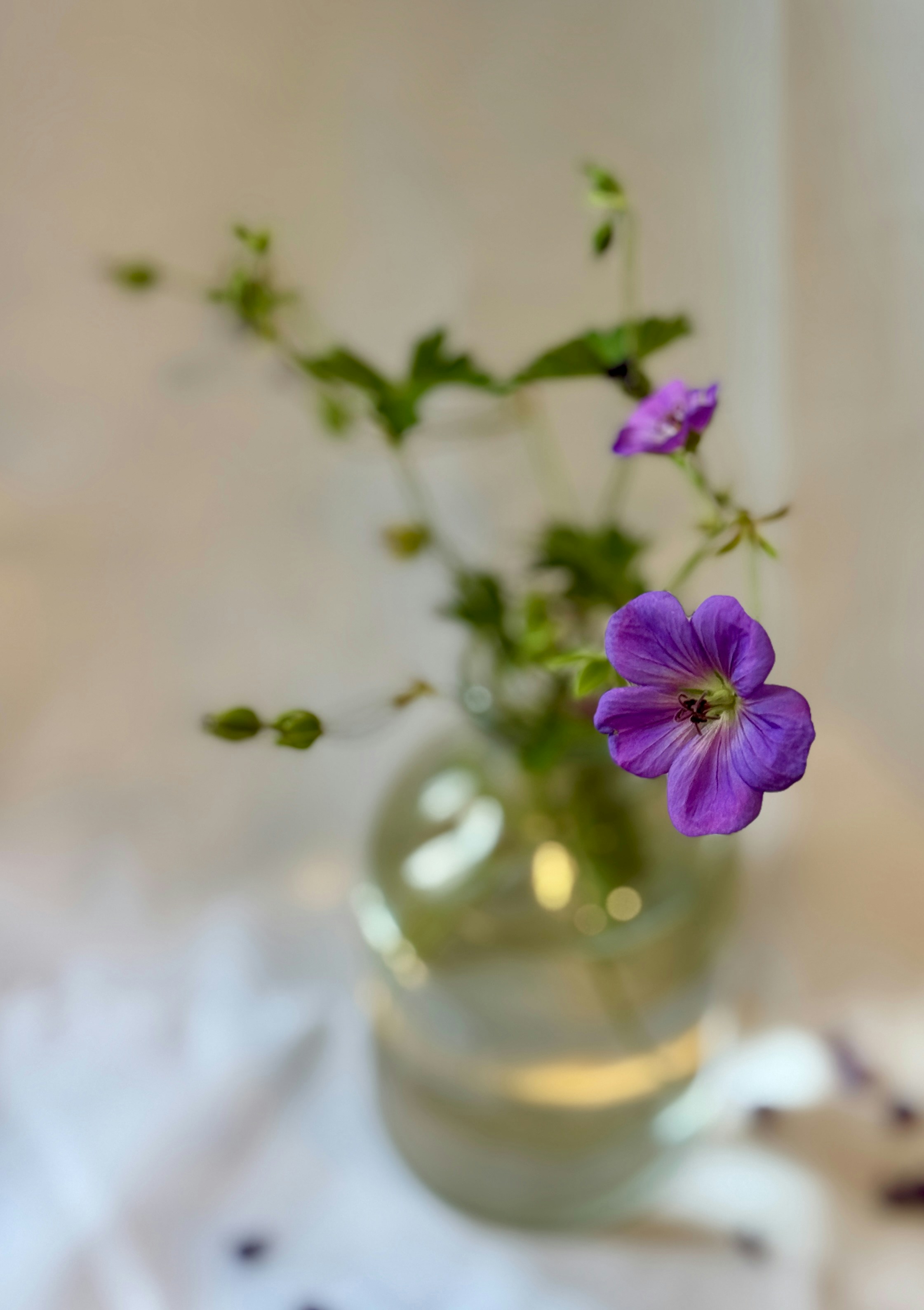 Purple Petals in Soft Glass