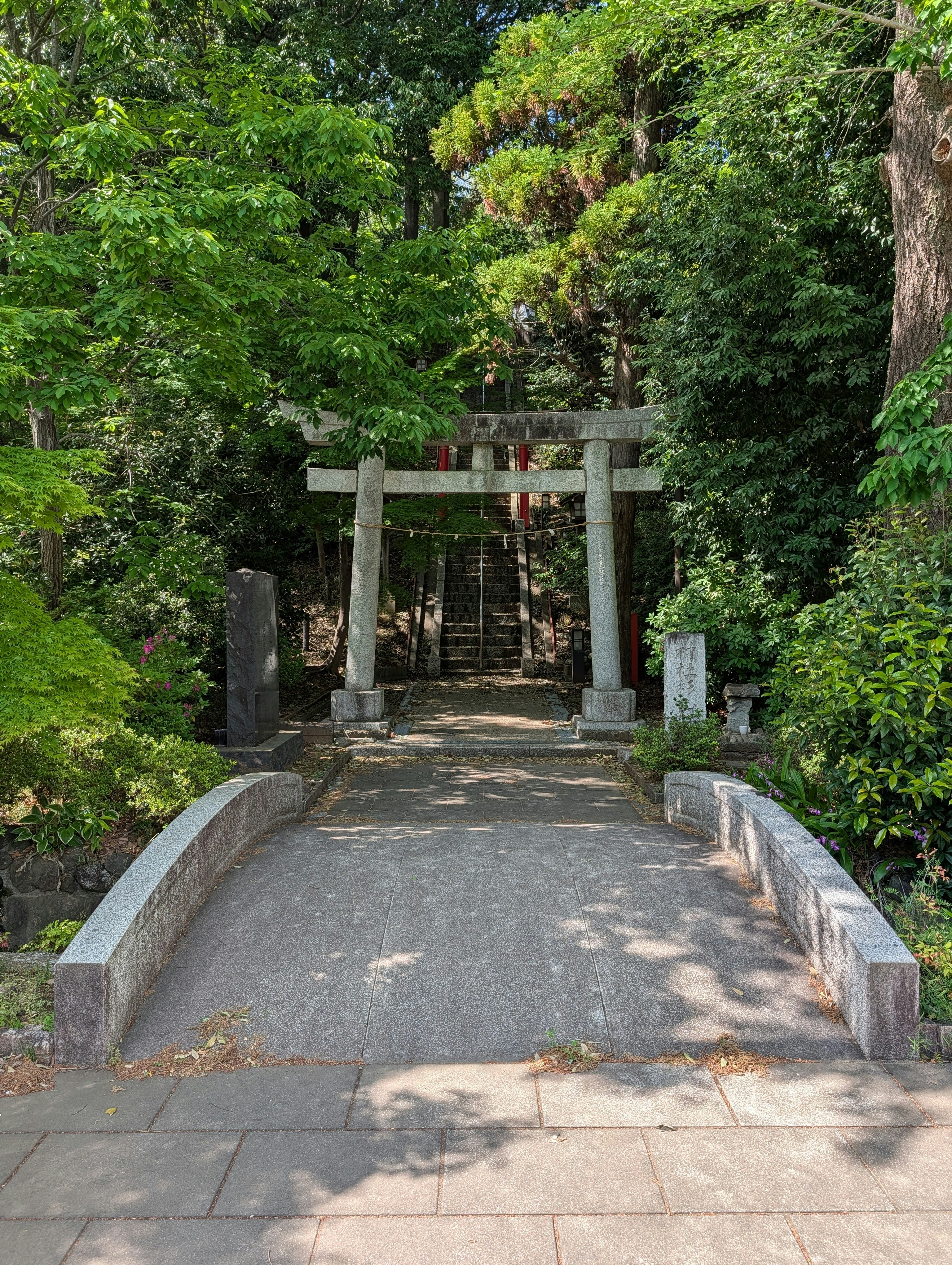 Torii Gate Under the Canopy: A Quiet Temple Approach