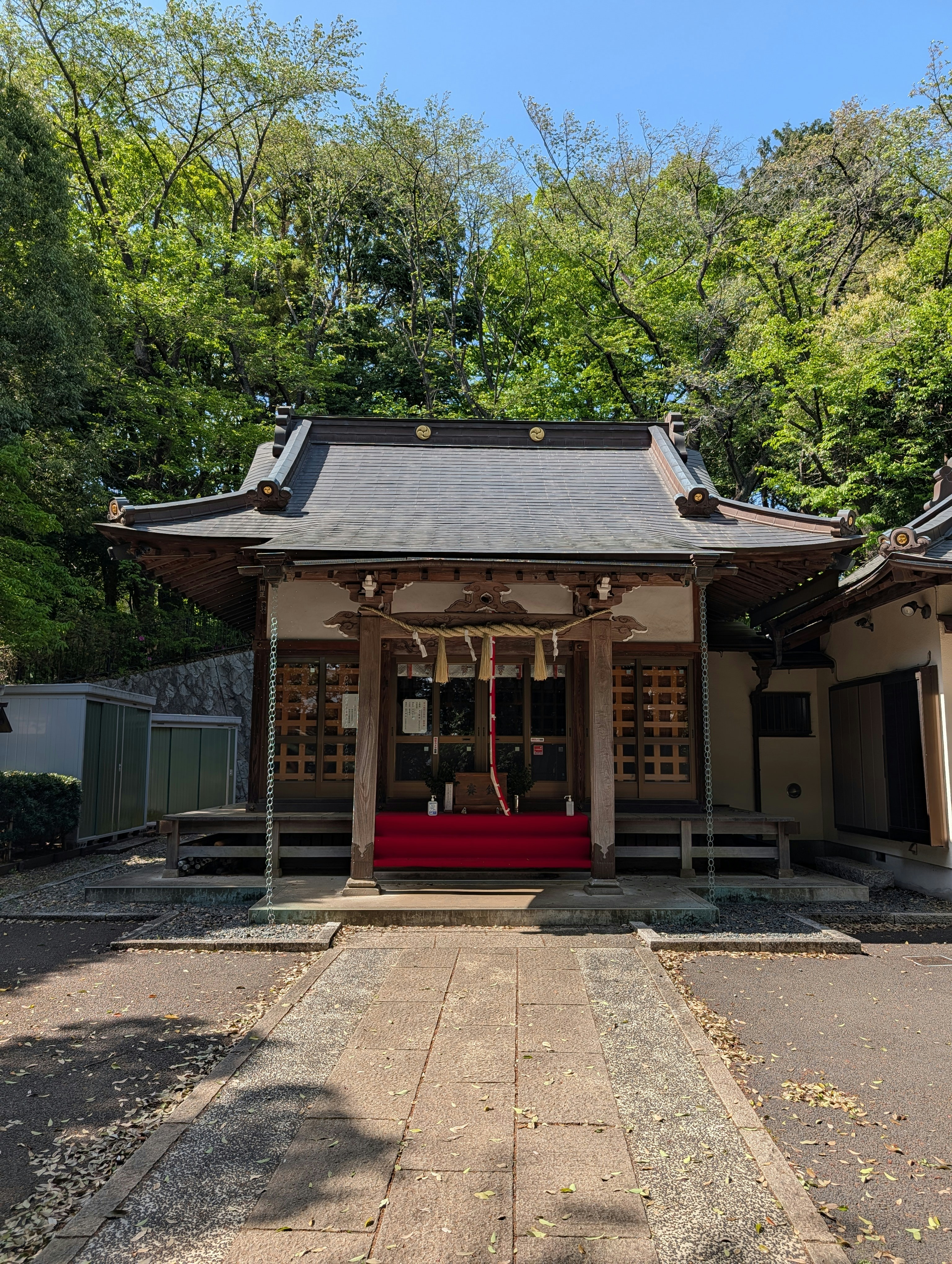 Sacred Carved Hall: A Quiet Shrine Framed by Dappled Forest Light