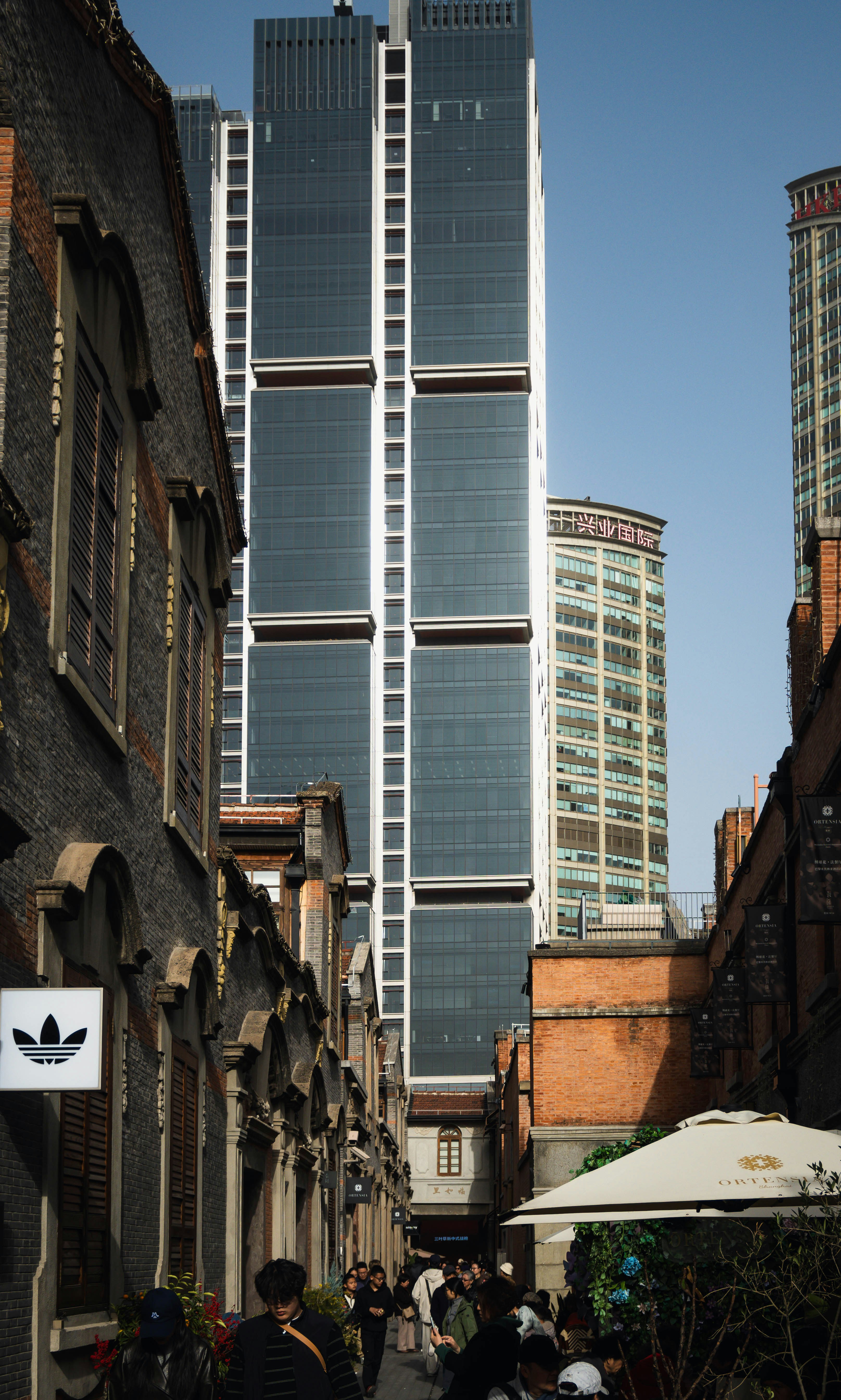 Urban Canopy: A Skyward Walk Through the Alley Between Giants