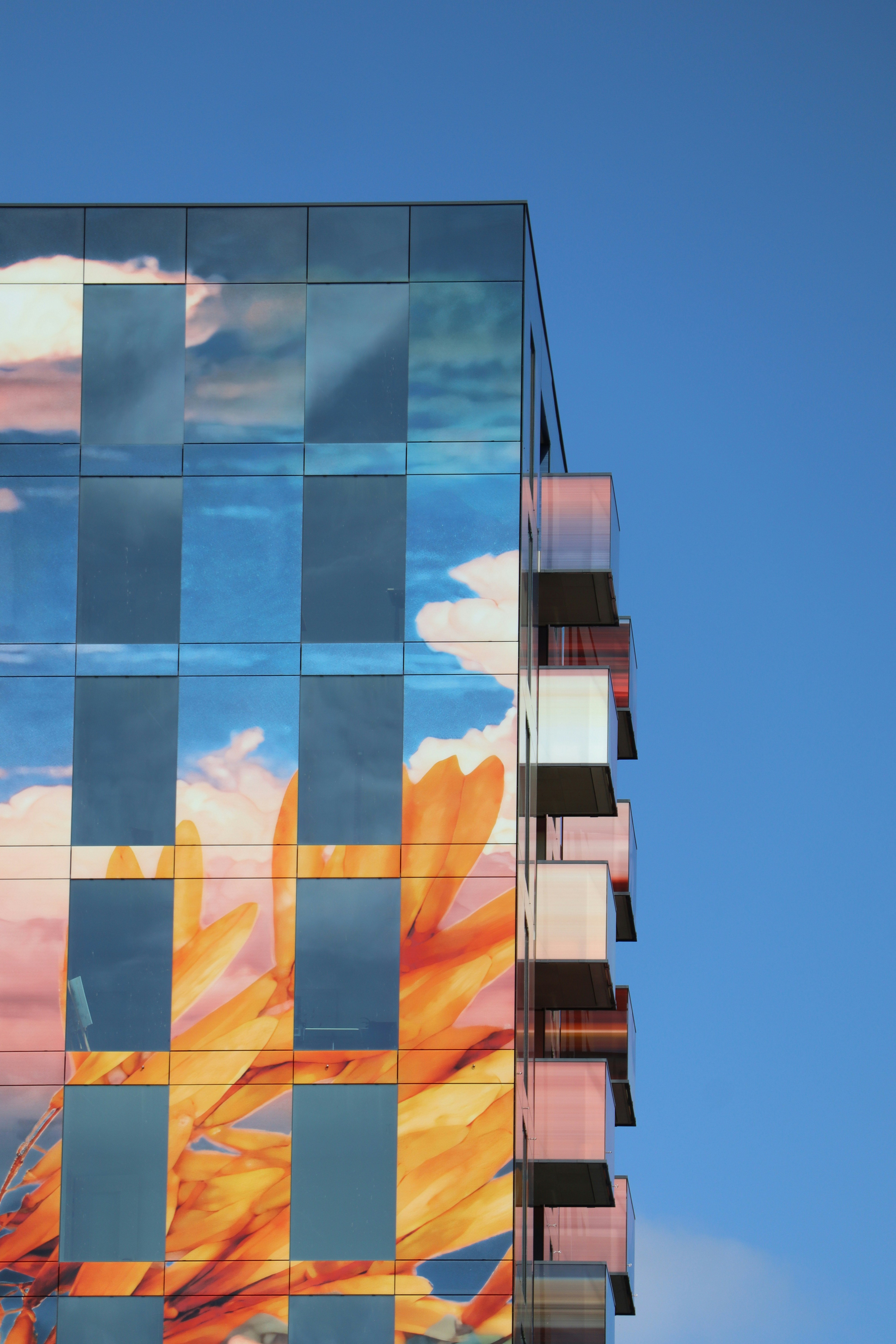 Glass Garden: A Sky-Blue Facade Reflecting Sunlit Petals