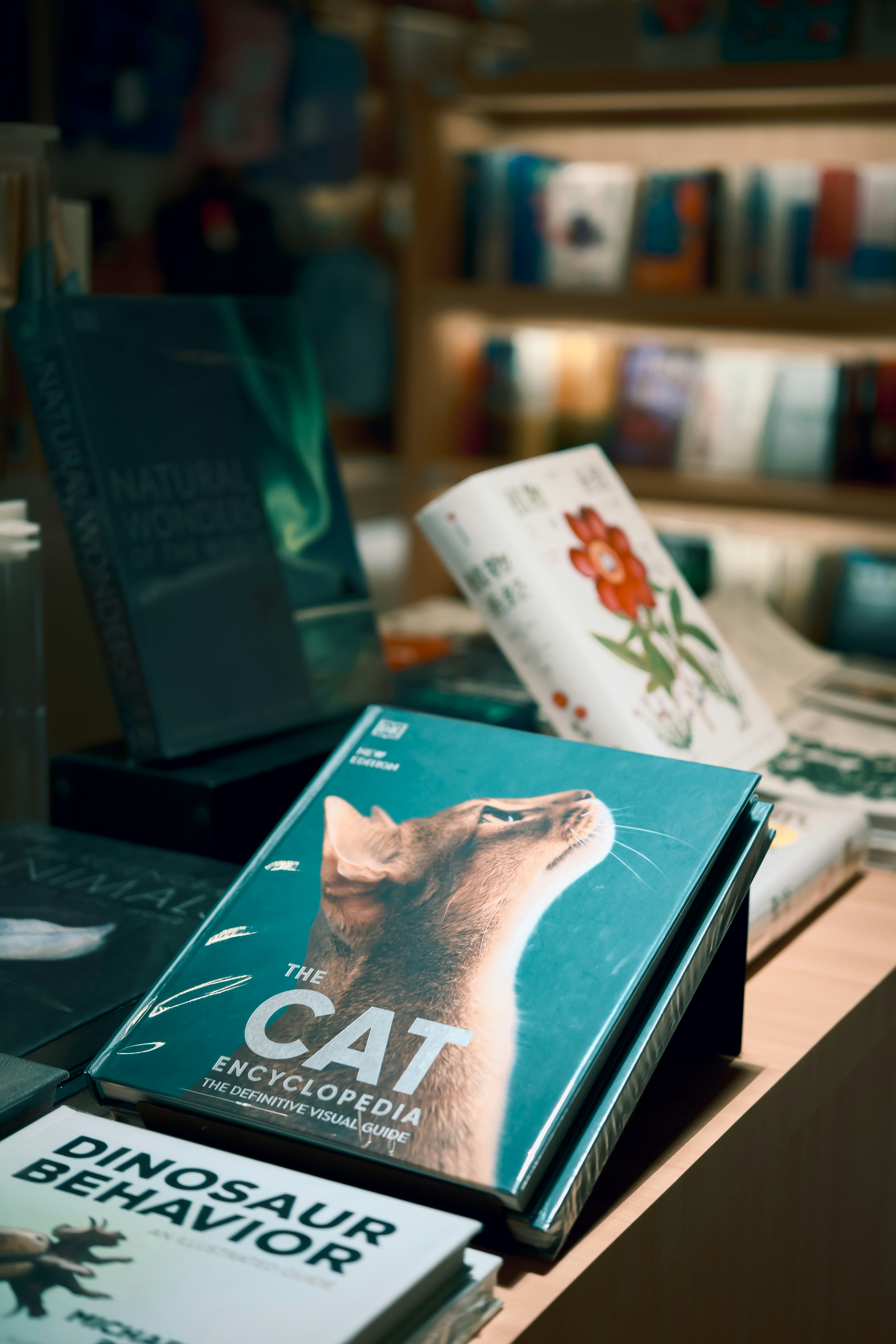 The Cat Encyclopedia: A Teal-Quelled Spotlight on a Purring Photo Moment