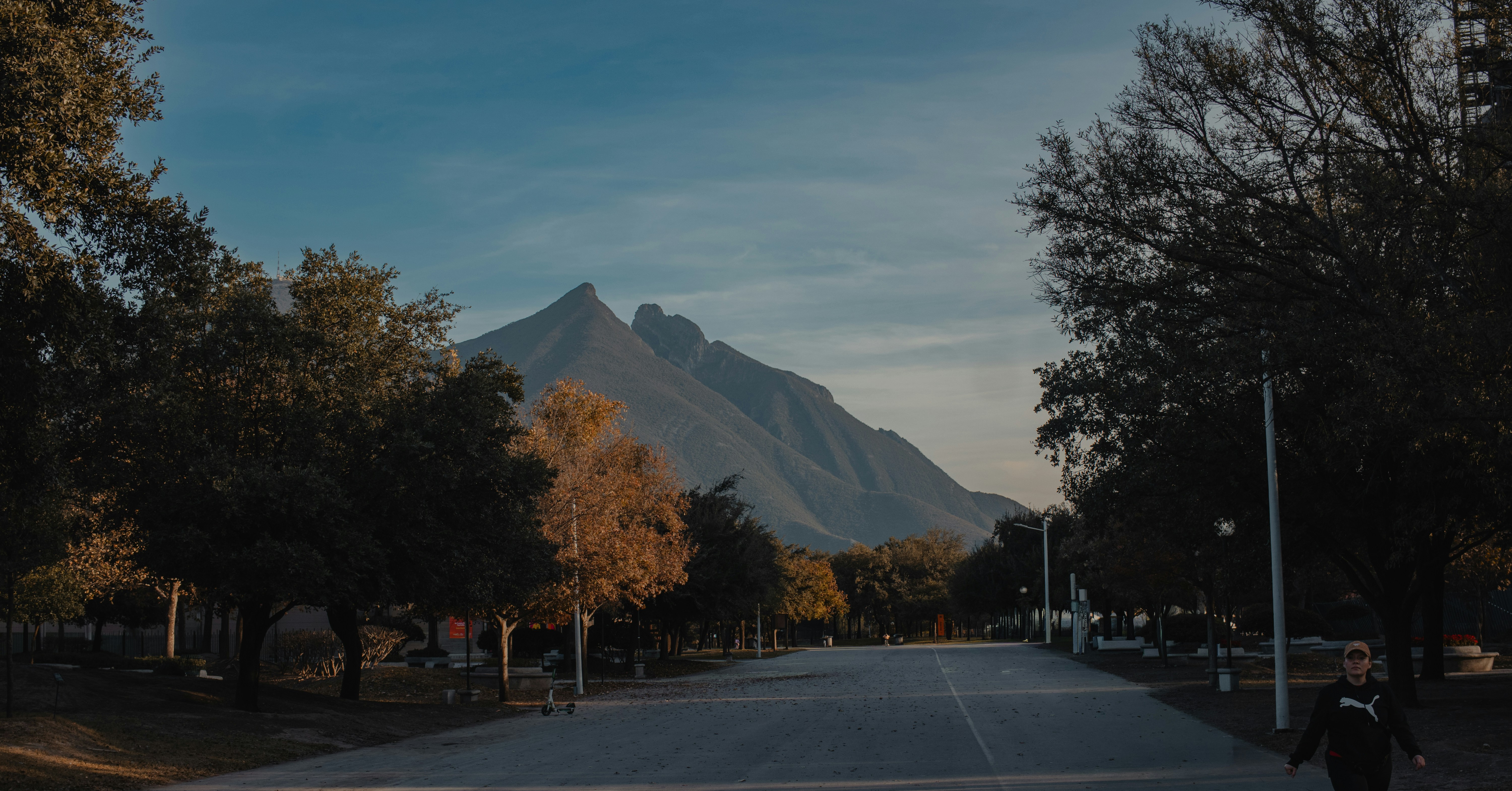 Dawn in Autumn Avenue: Mountains Framing a Quiet City Street