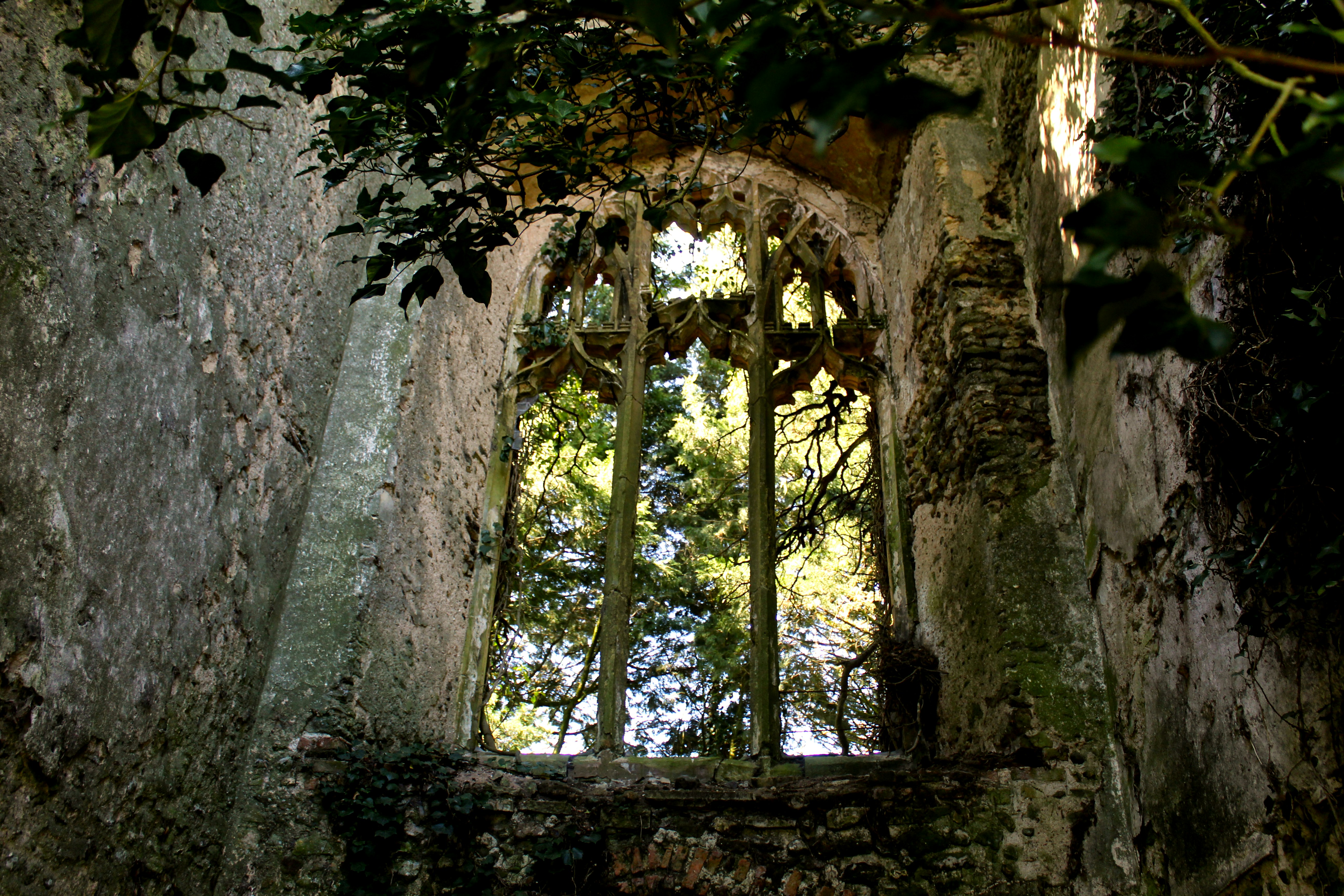 Stone Window to the Forest Beyond
