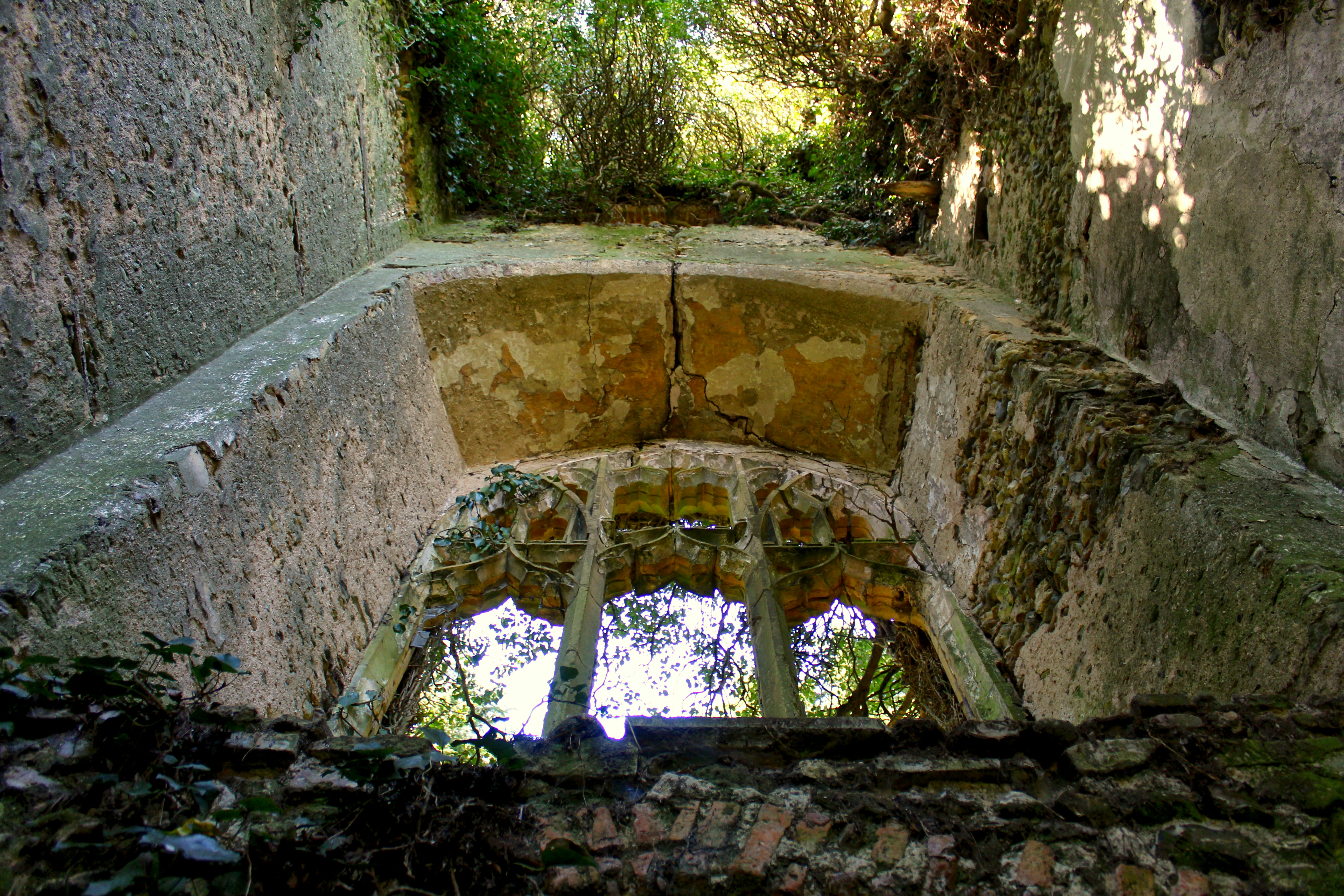 Ruined Archway Reaching into an Overgrown Courtyard