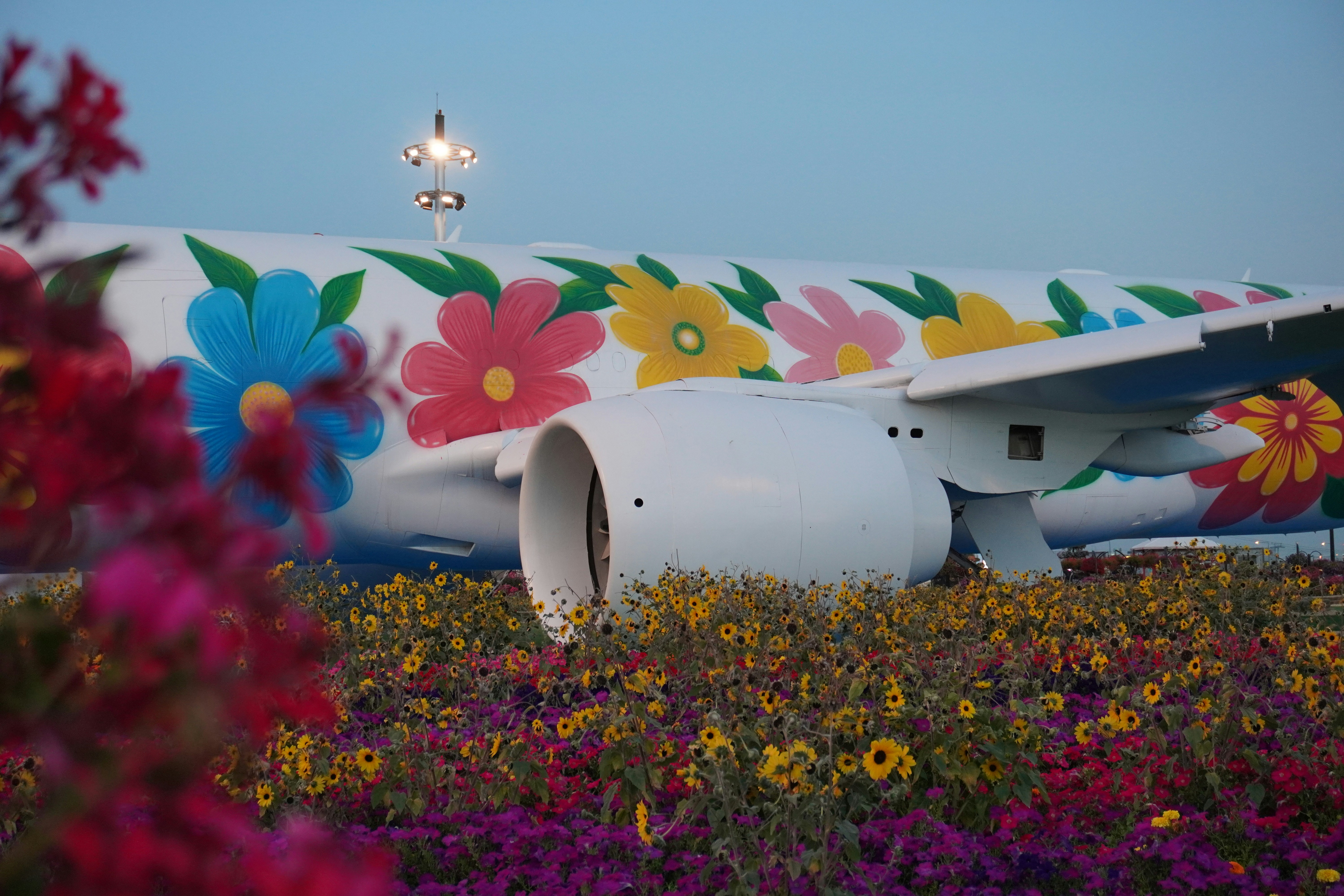 Floral Winged Giant: A Painted Jet Resting Among Spring Blooms