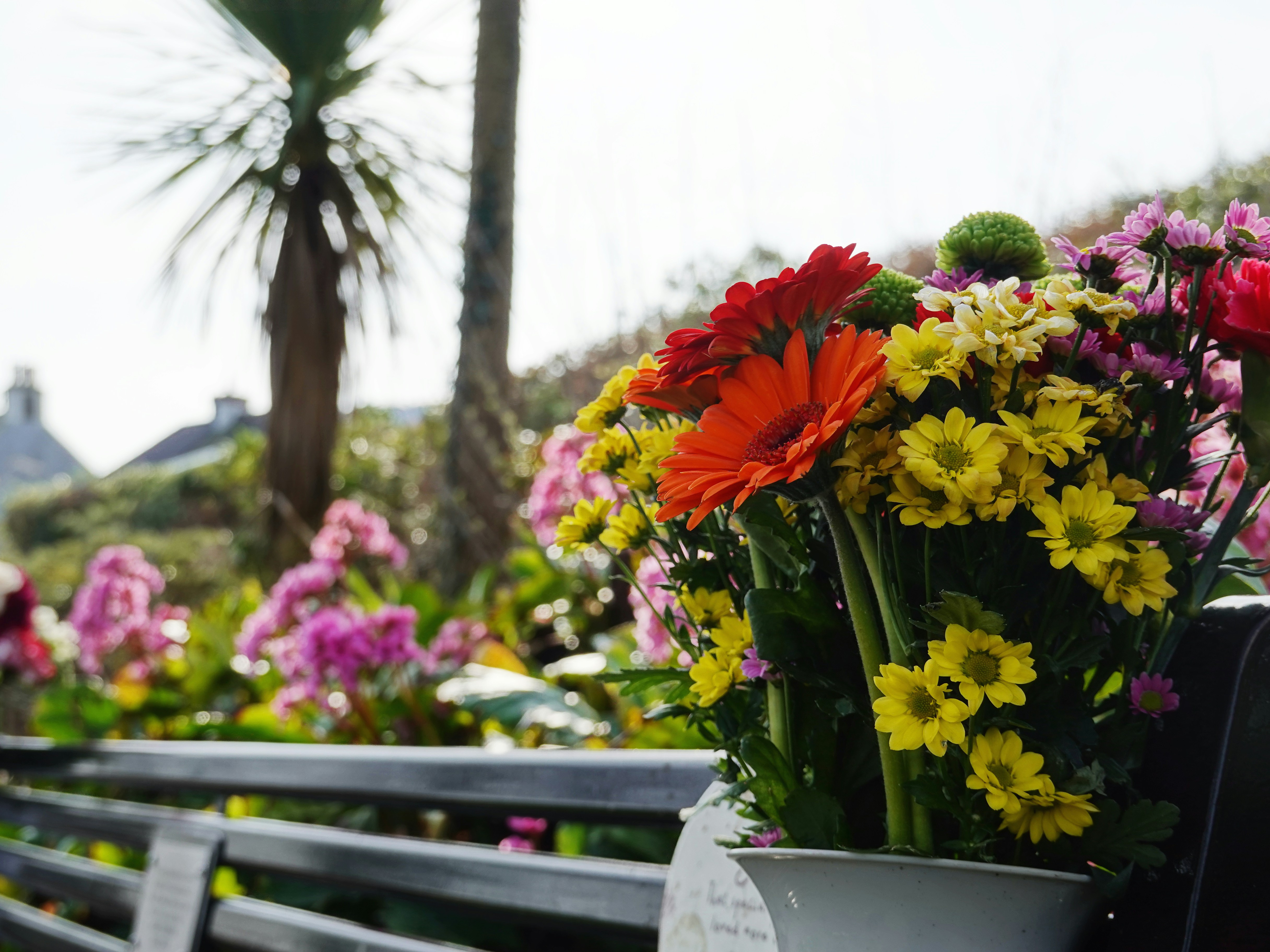 Bouquet in Focus: Bright Flowers against a Garden Backdrop