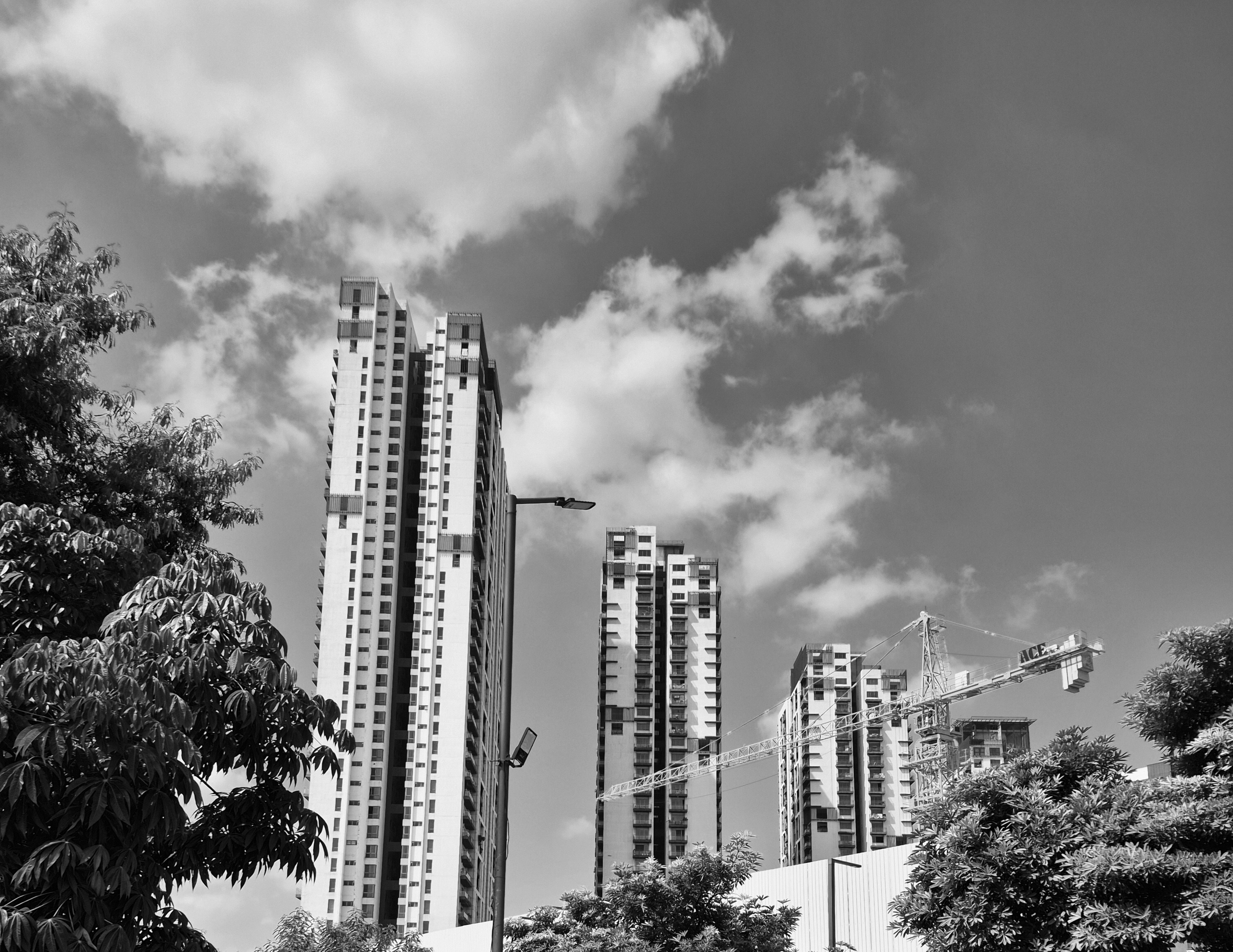 Cranes and towers rising above a monochrome skyline