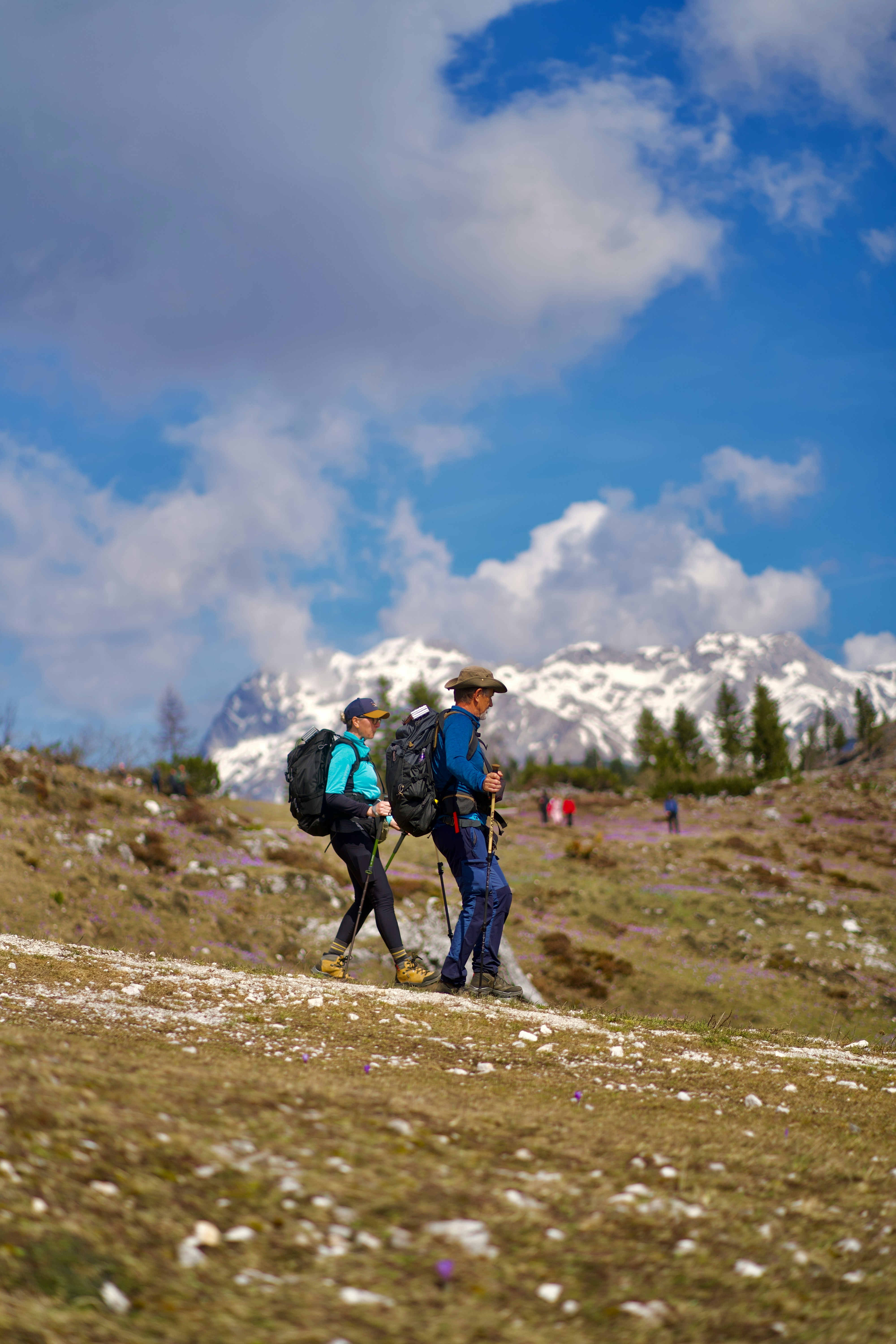 Toward the Snowbound Ridge: A Twin-Hiker Trek