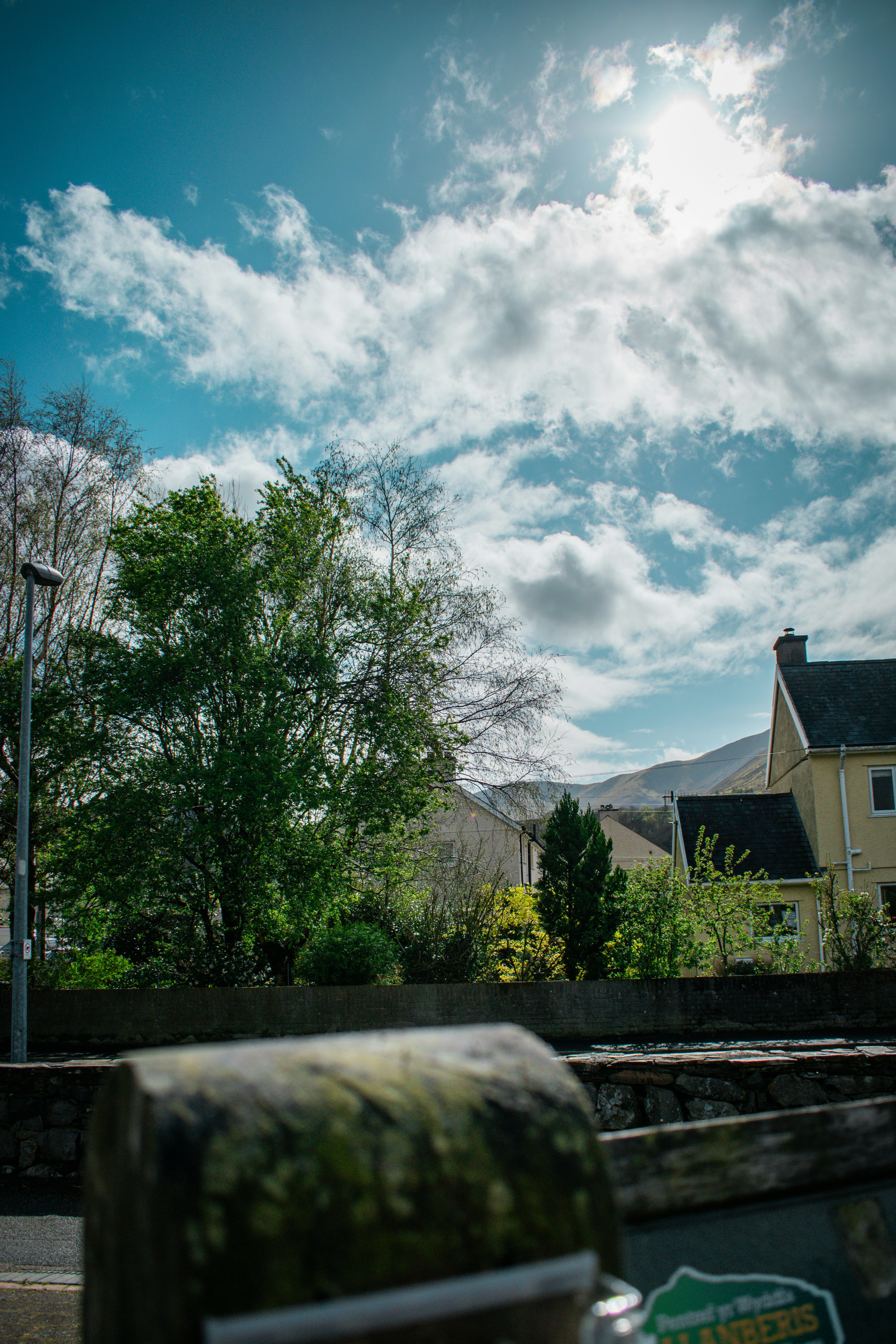 Sunlit suburban scene with lush trees and distant hills