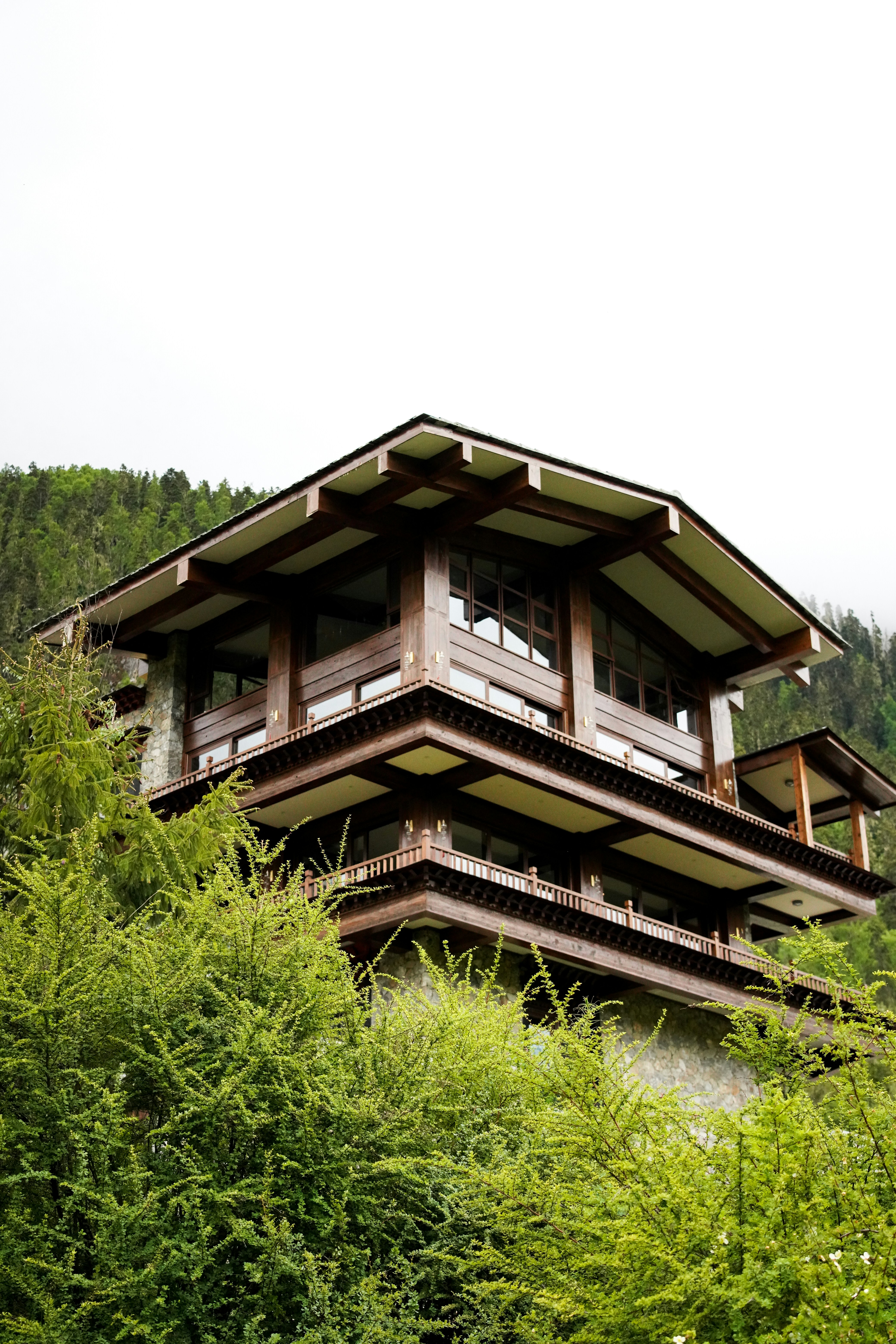 Wooden Pavilion Rises Above Emerald Foliage