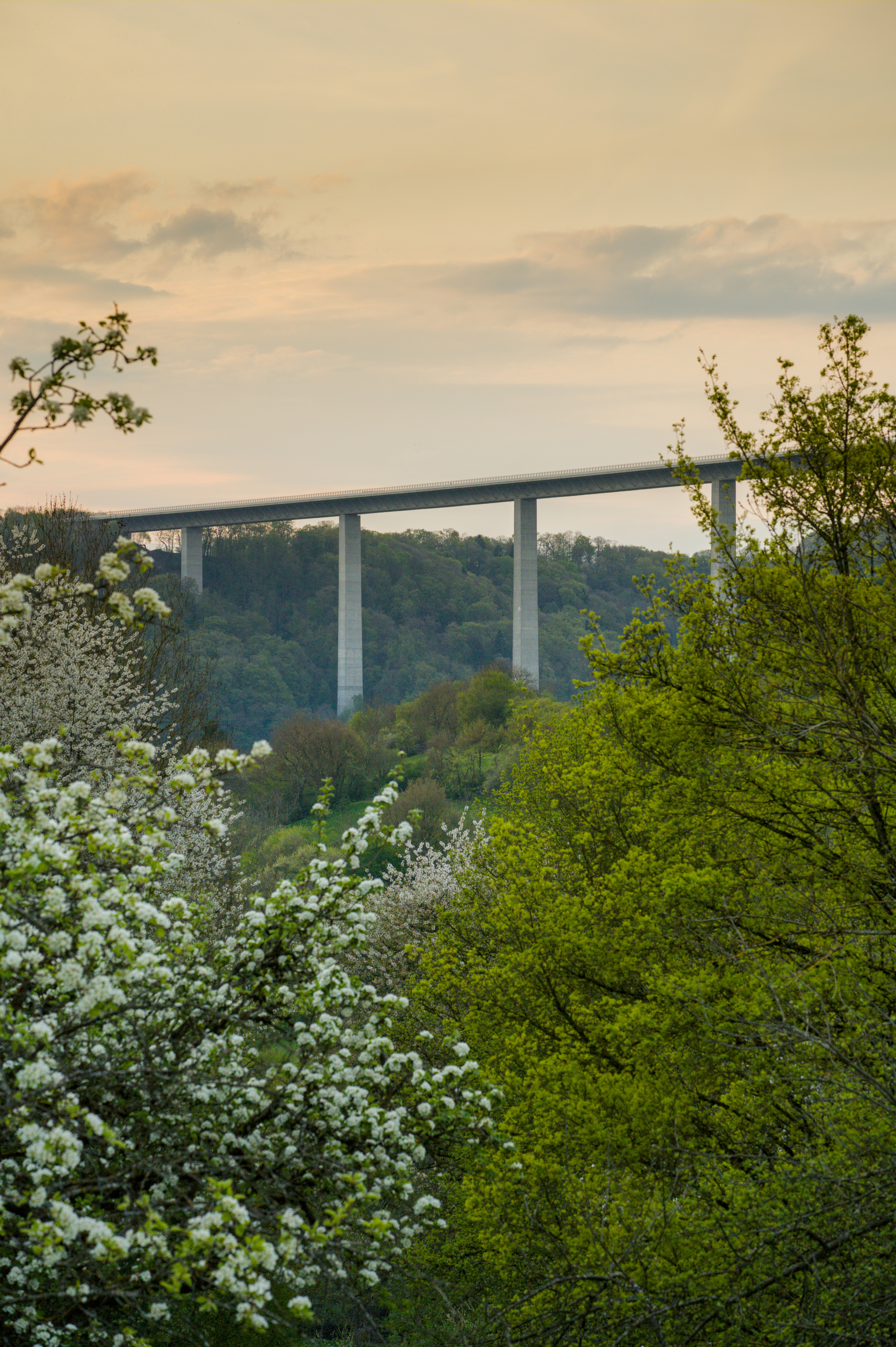 Bridge over a spring valley