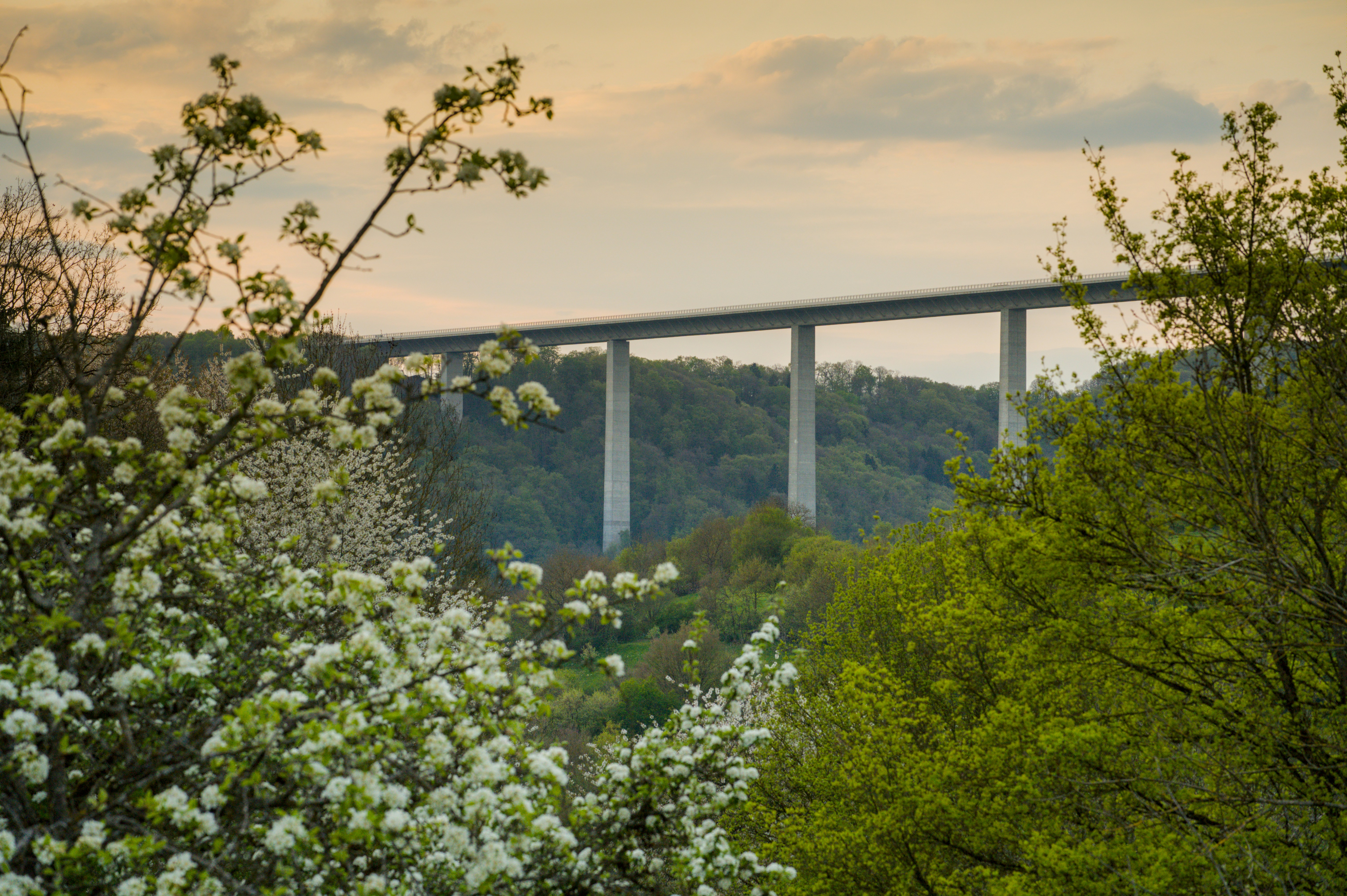 Bridge over a spring-green valley
