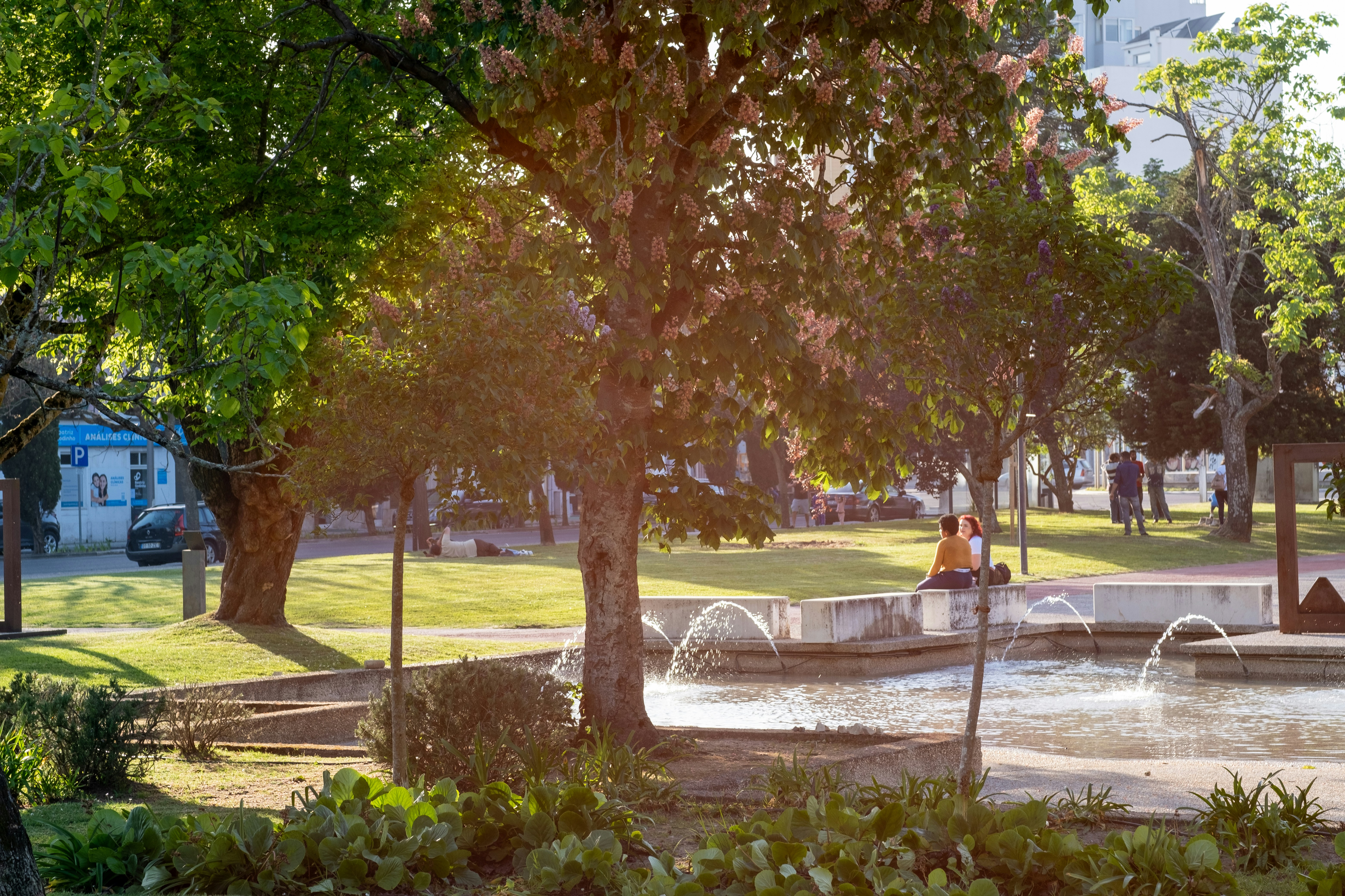 Sunlit Fountain Glimpse Through Park Foliage