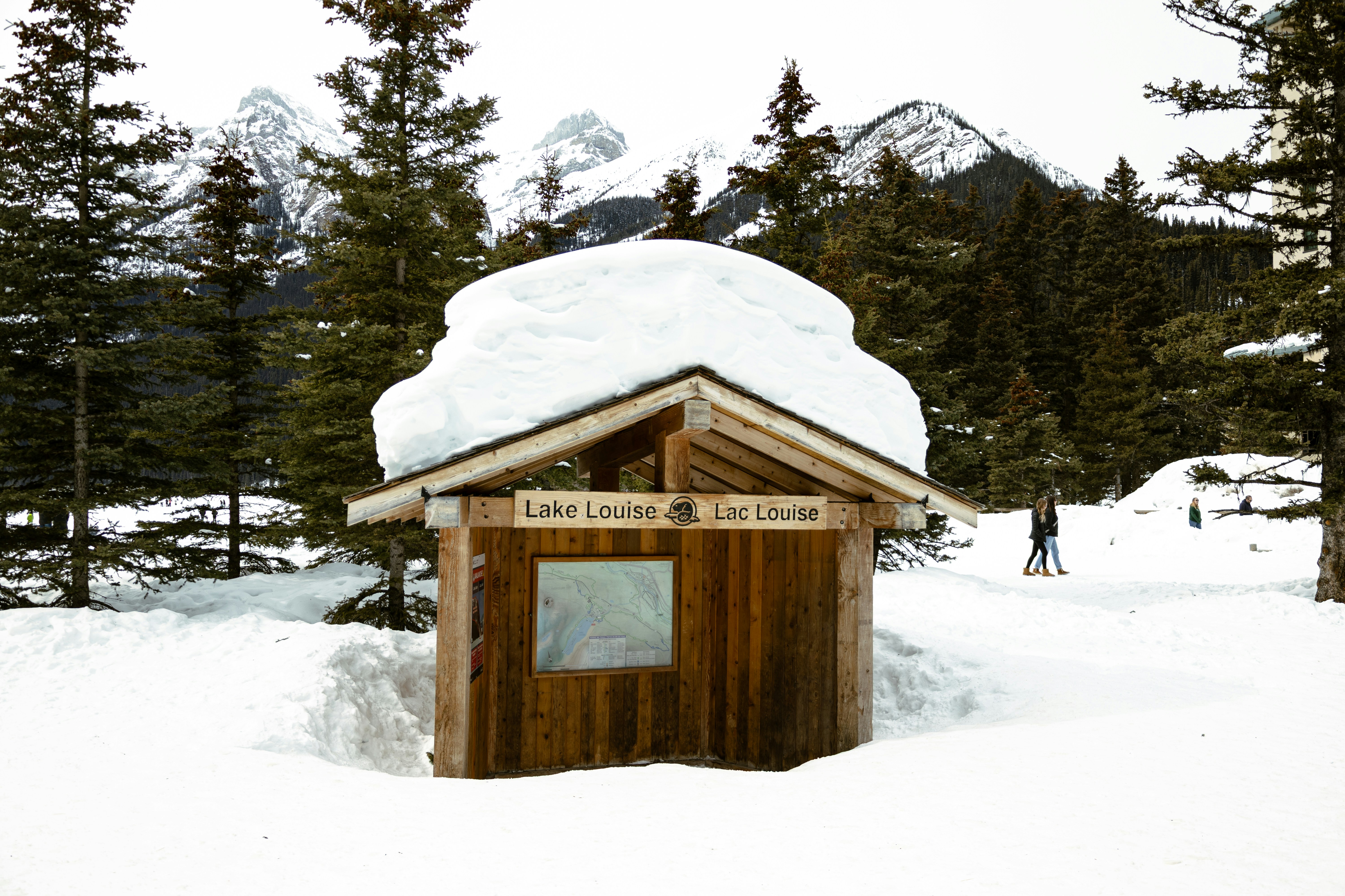 Snow-Capped Shelter Amid Winter Pines