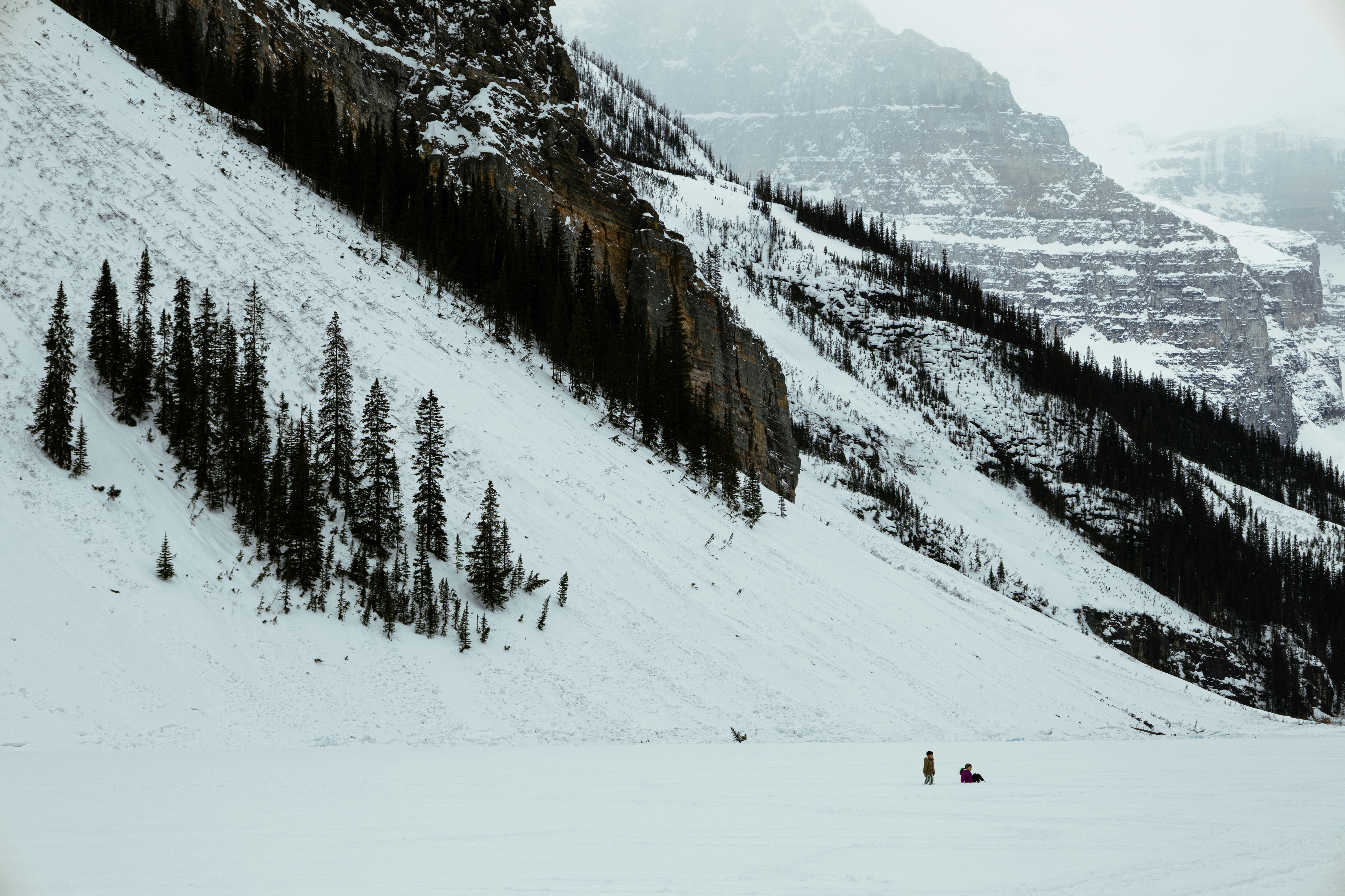 Snowbound Silence: Two Figures in a Barren Glacier Valley