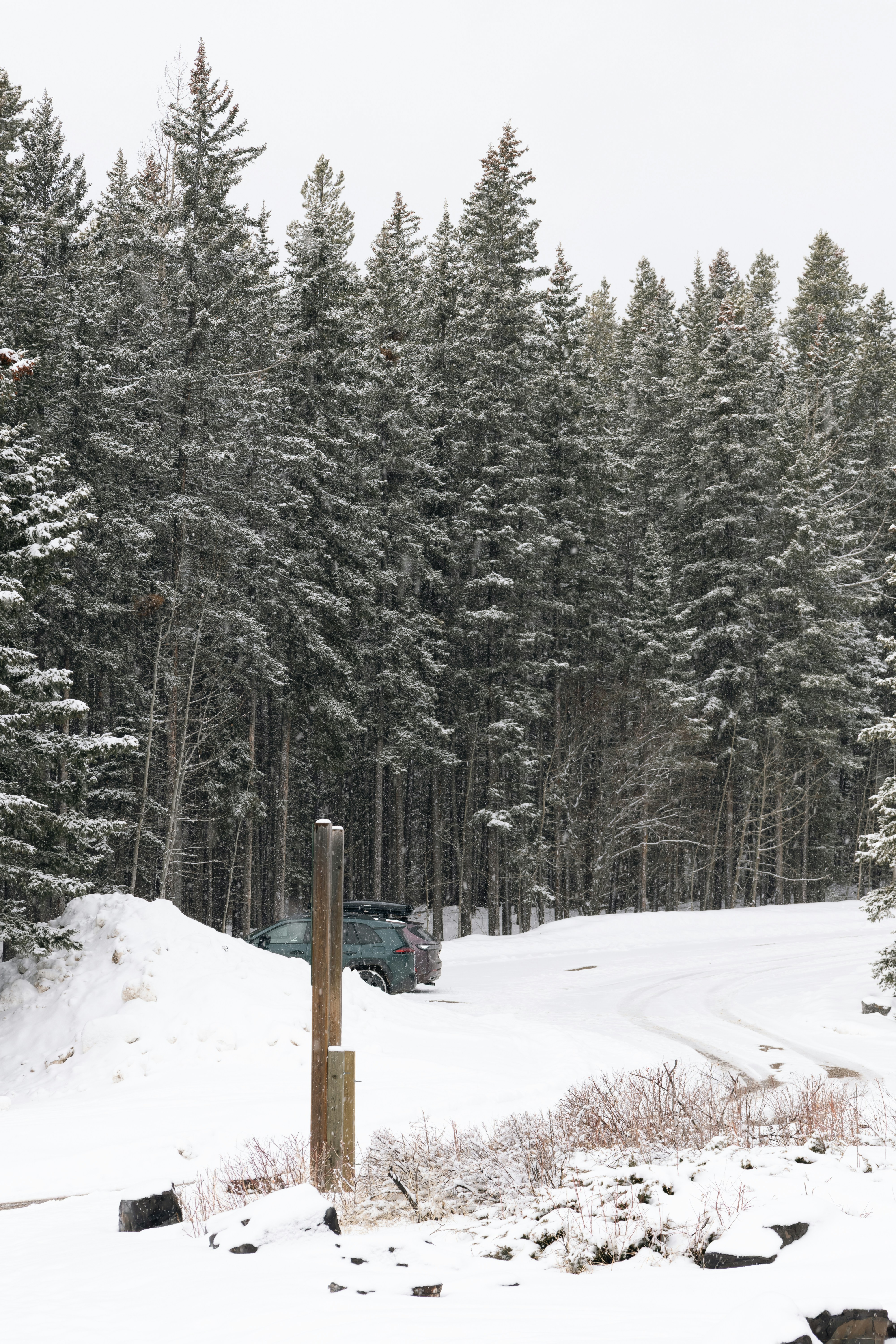 Snowbound Clearing with Parked Car Beneath Pine Forest
