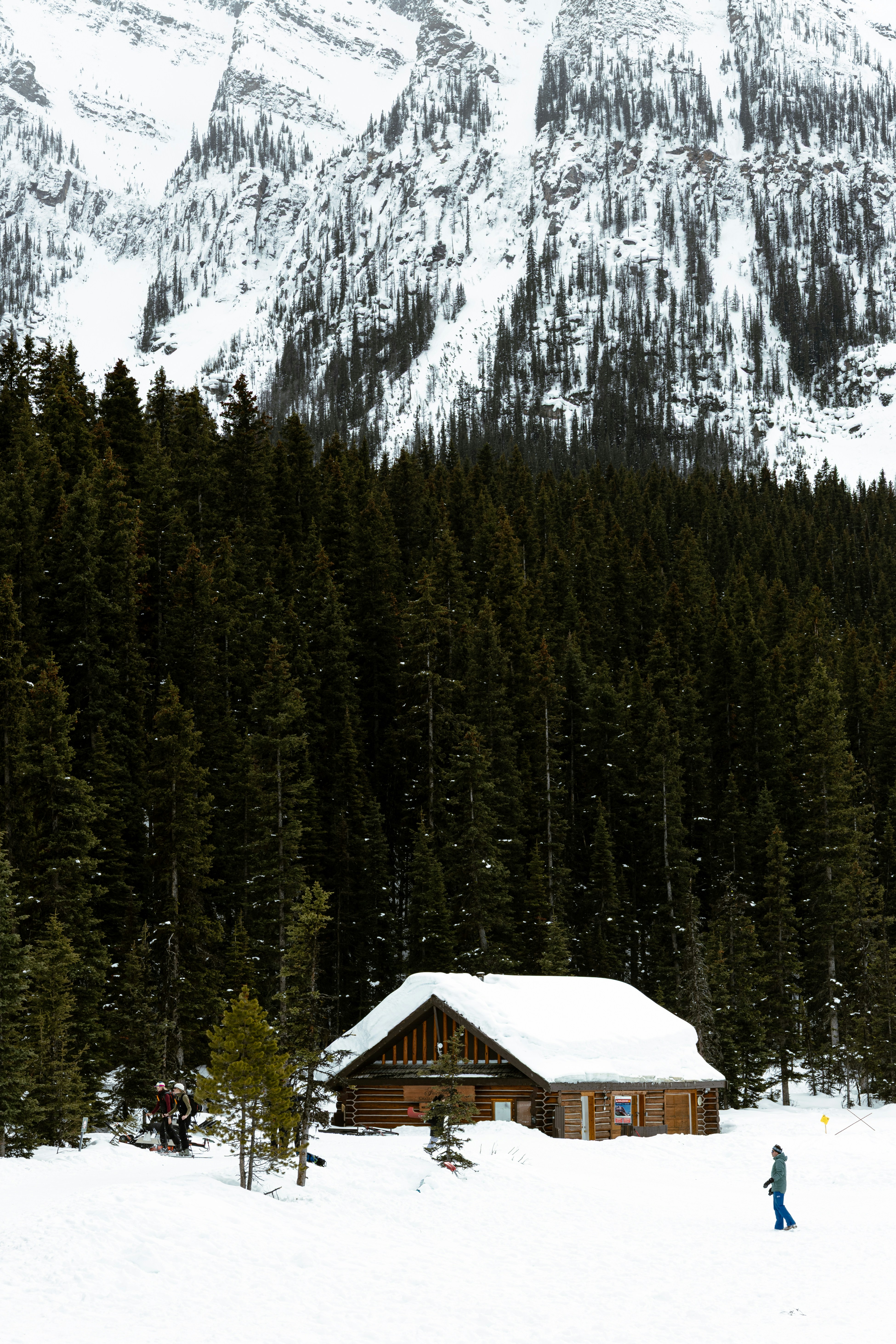 Snowbound Refuge at the Edge of the Pines