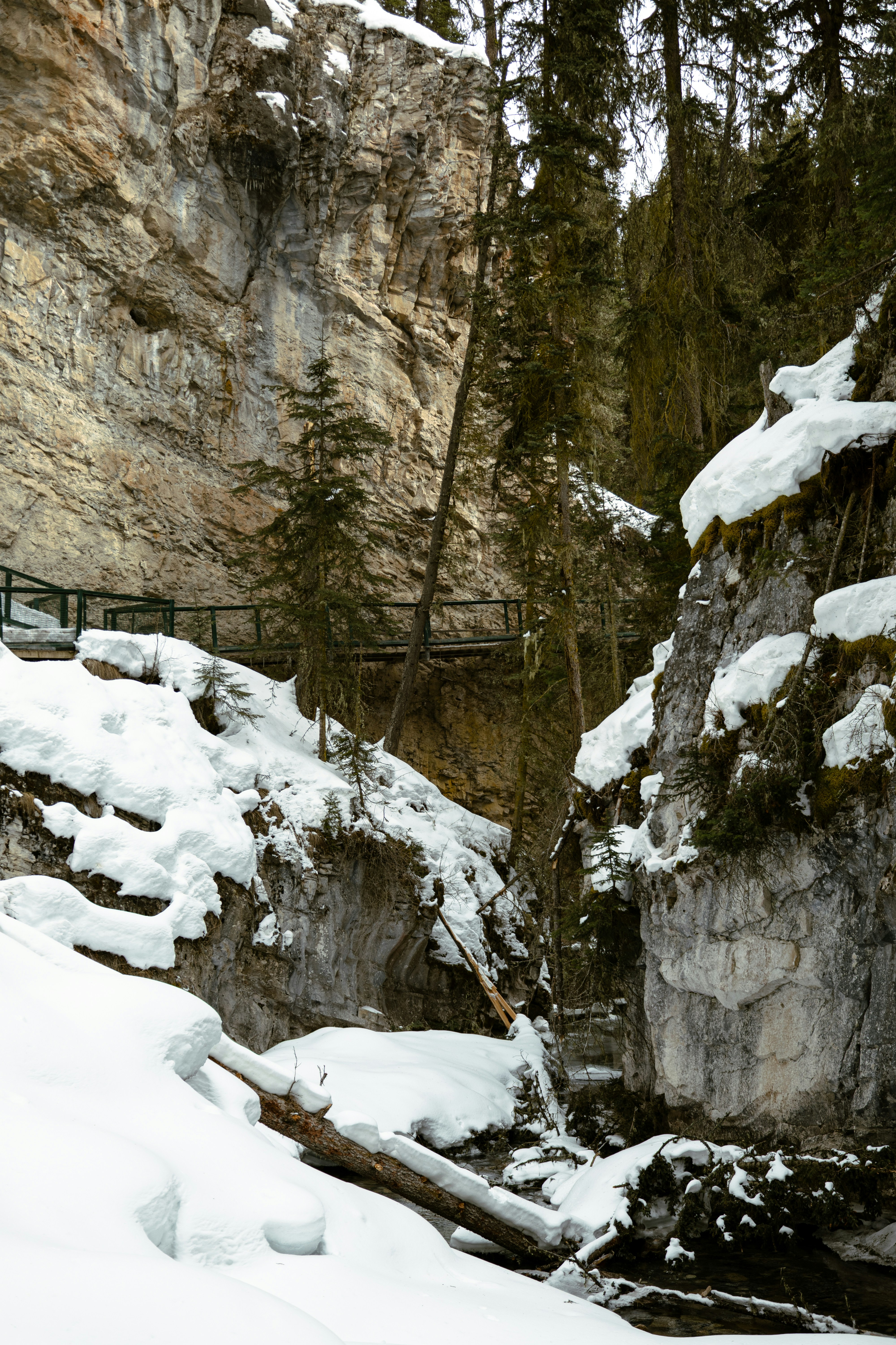 Snow-Capped Ravine with Timber and Cliff Presenter