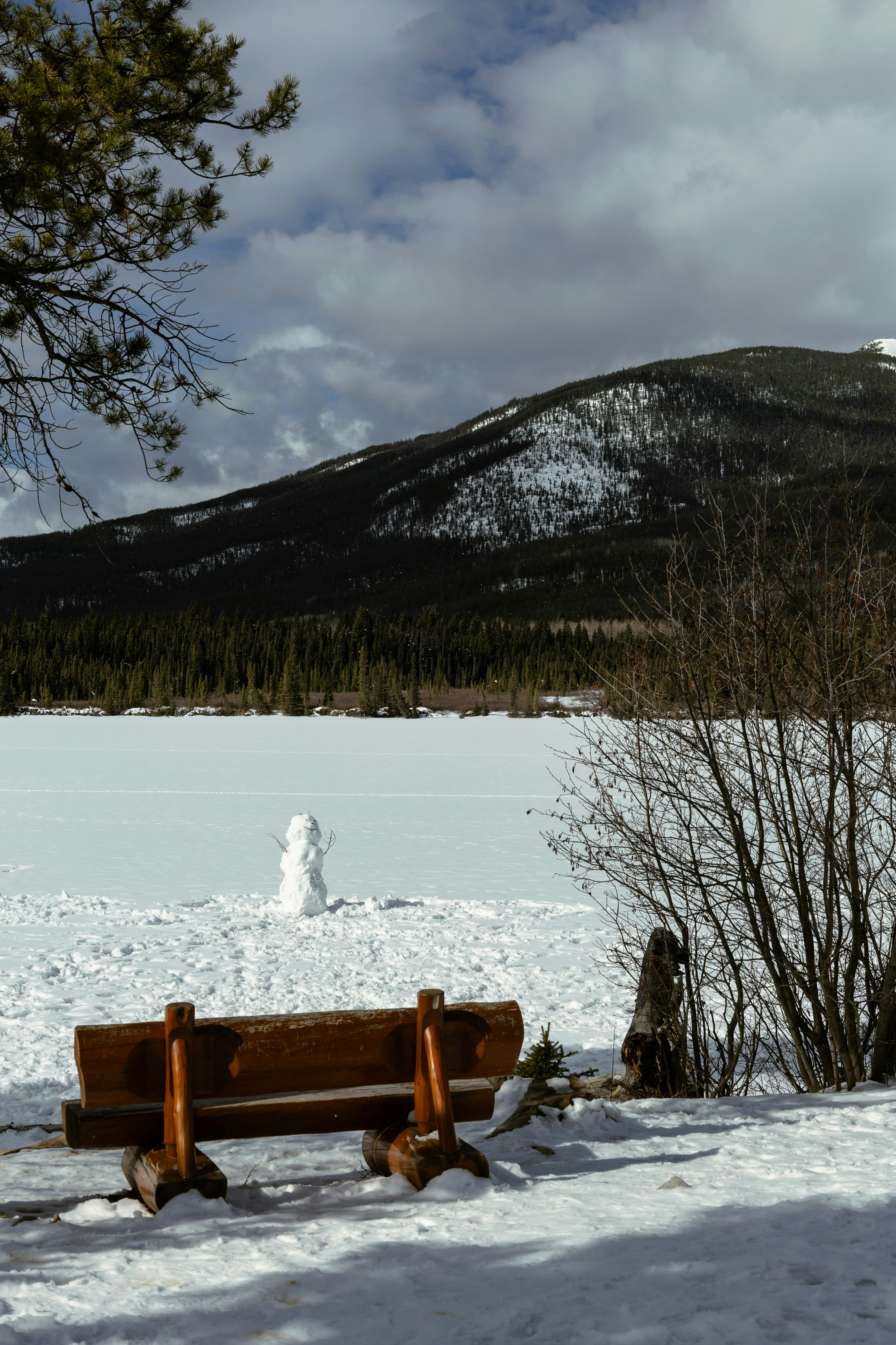 Winter Silence by the Frozen Pond