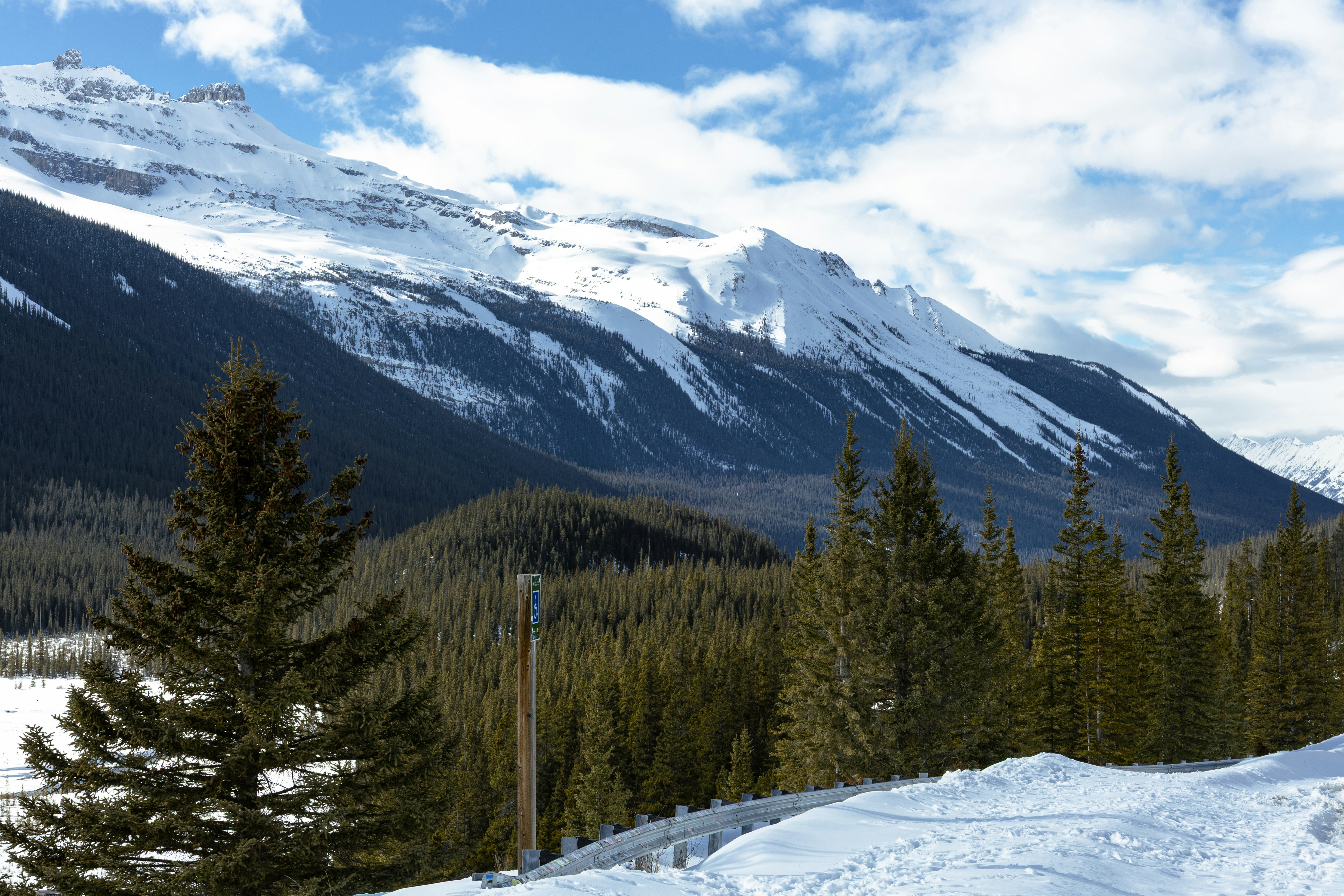 Snow-Dusted Peaks Over a Pine-Filled Valley