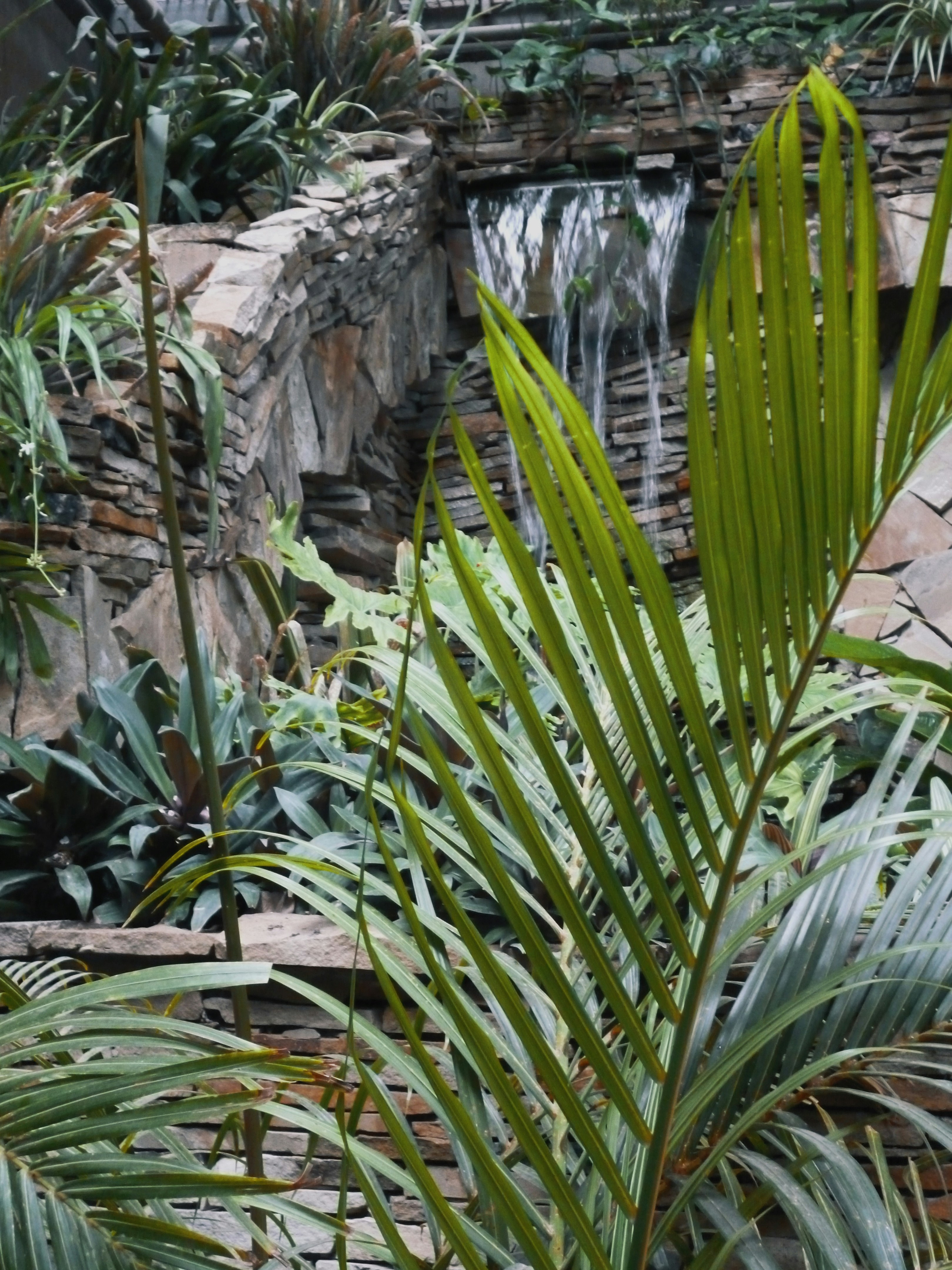 Lush Atrium: tropical greenery framing a tiny waterfall