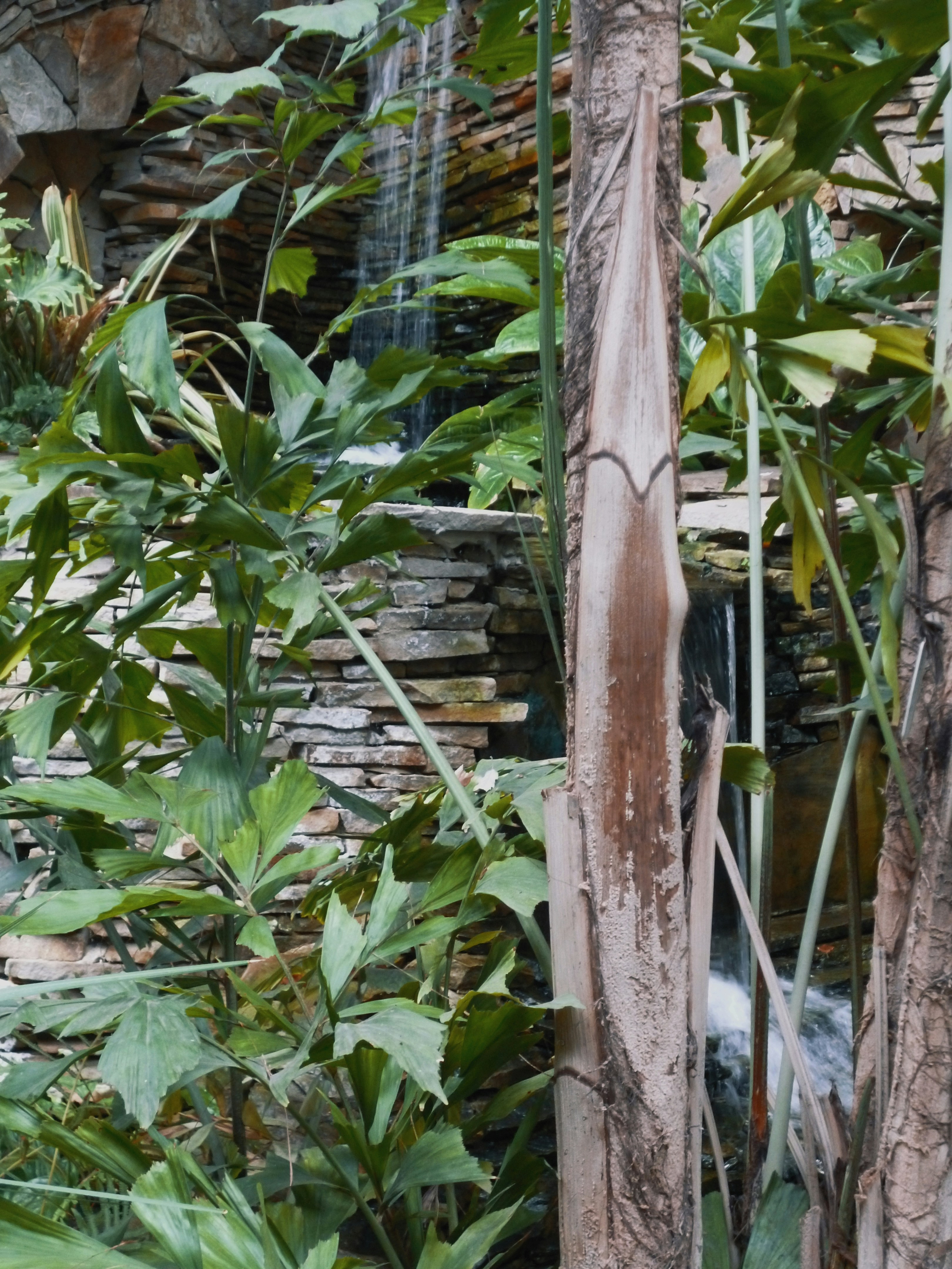 Verdant Cascade: A Quiet Garden with a Small Waterfall