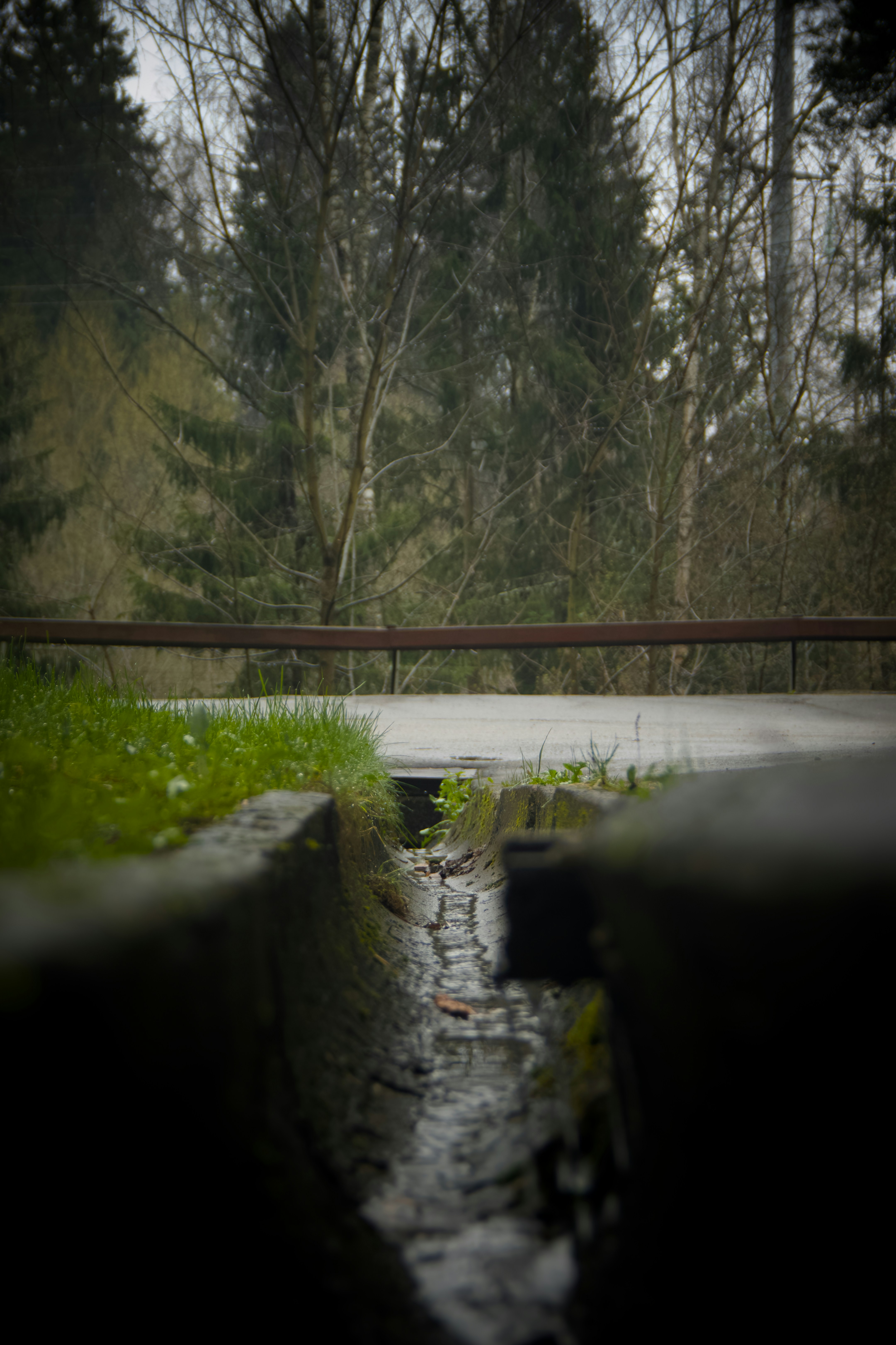 Edge of Silence: A Mossy Canal Beneath a Weathered Bridge