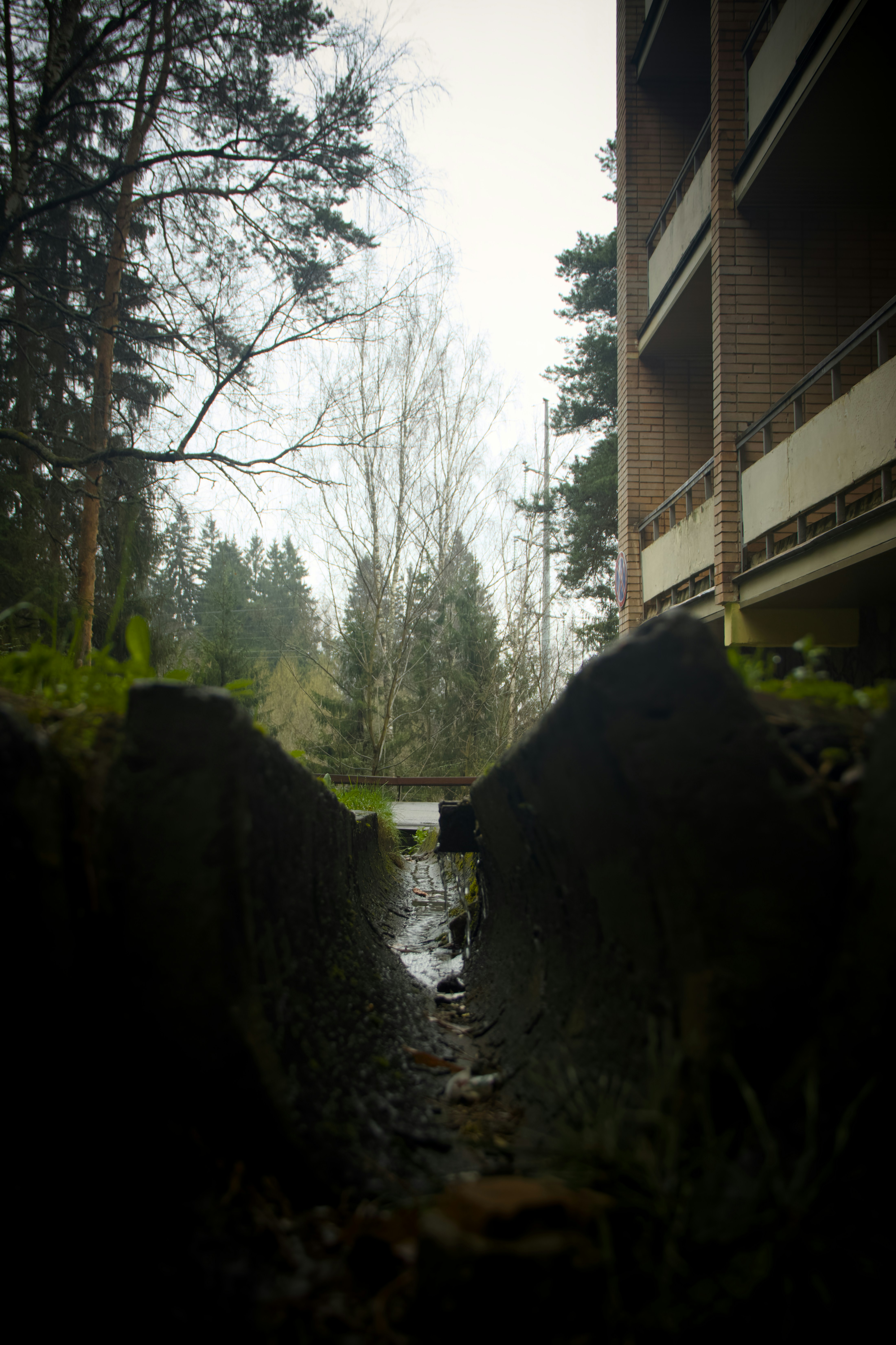 Between Concrete Channel and Forest Gate