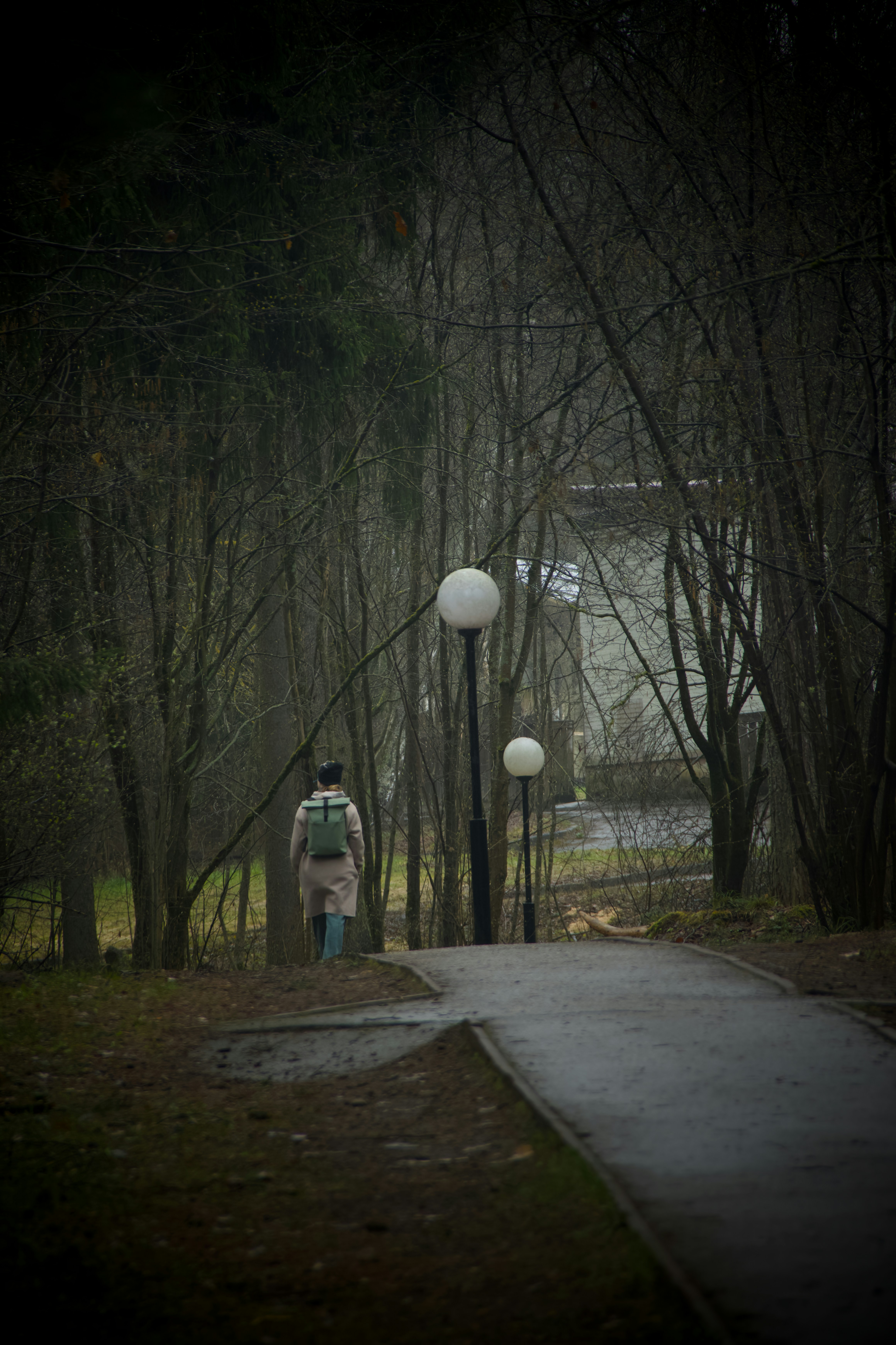 Lonely Path Under Grey Skies