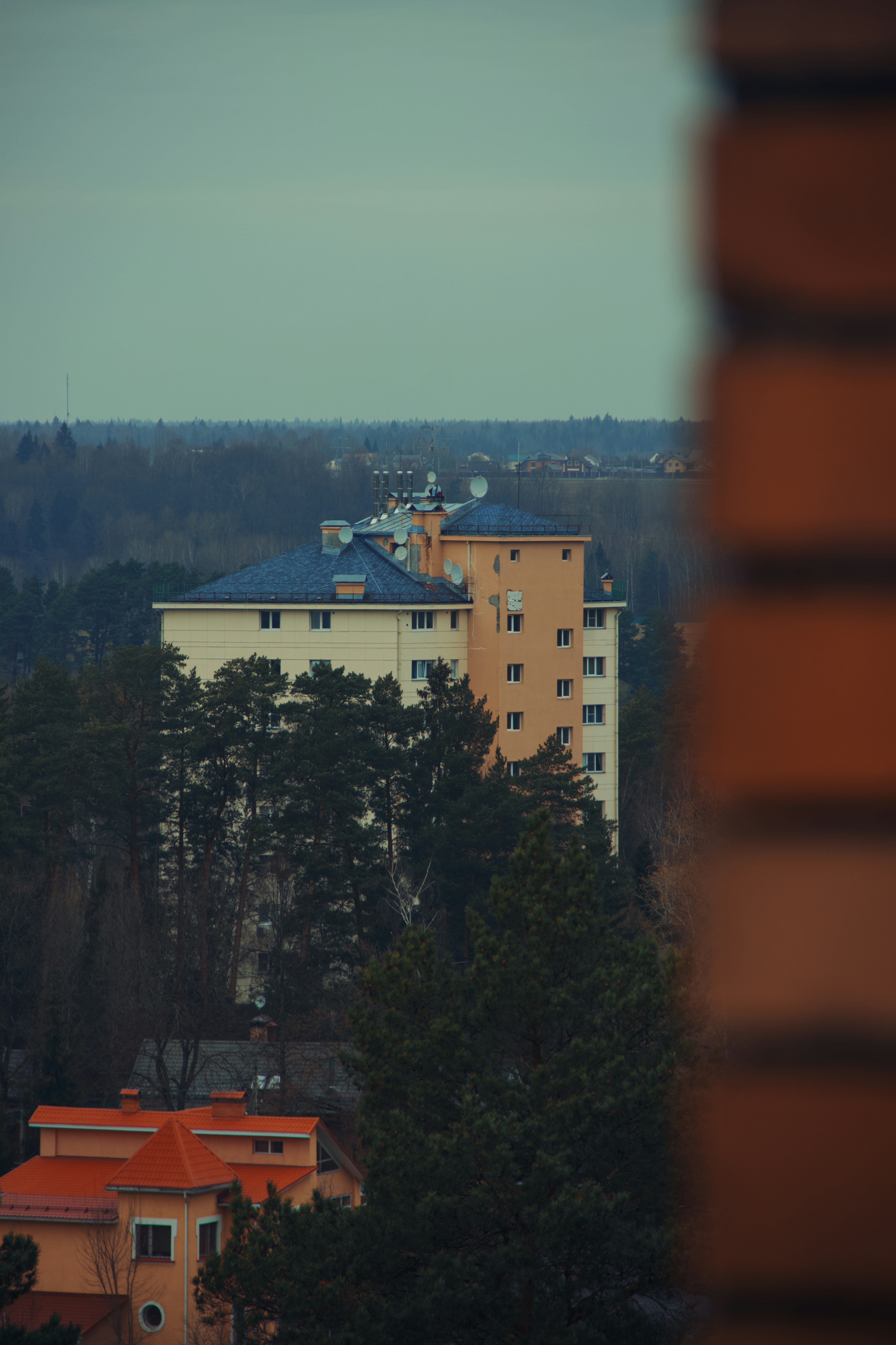Tall Orange Rooftop Conspires with Pine Valed Horizon