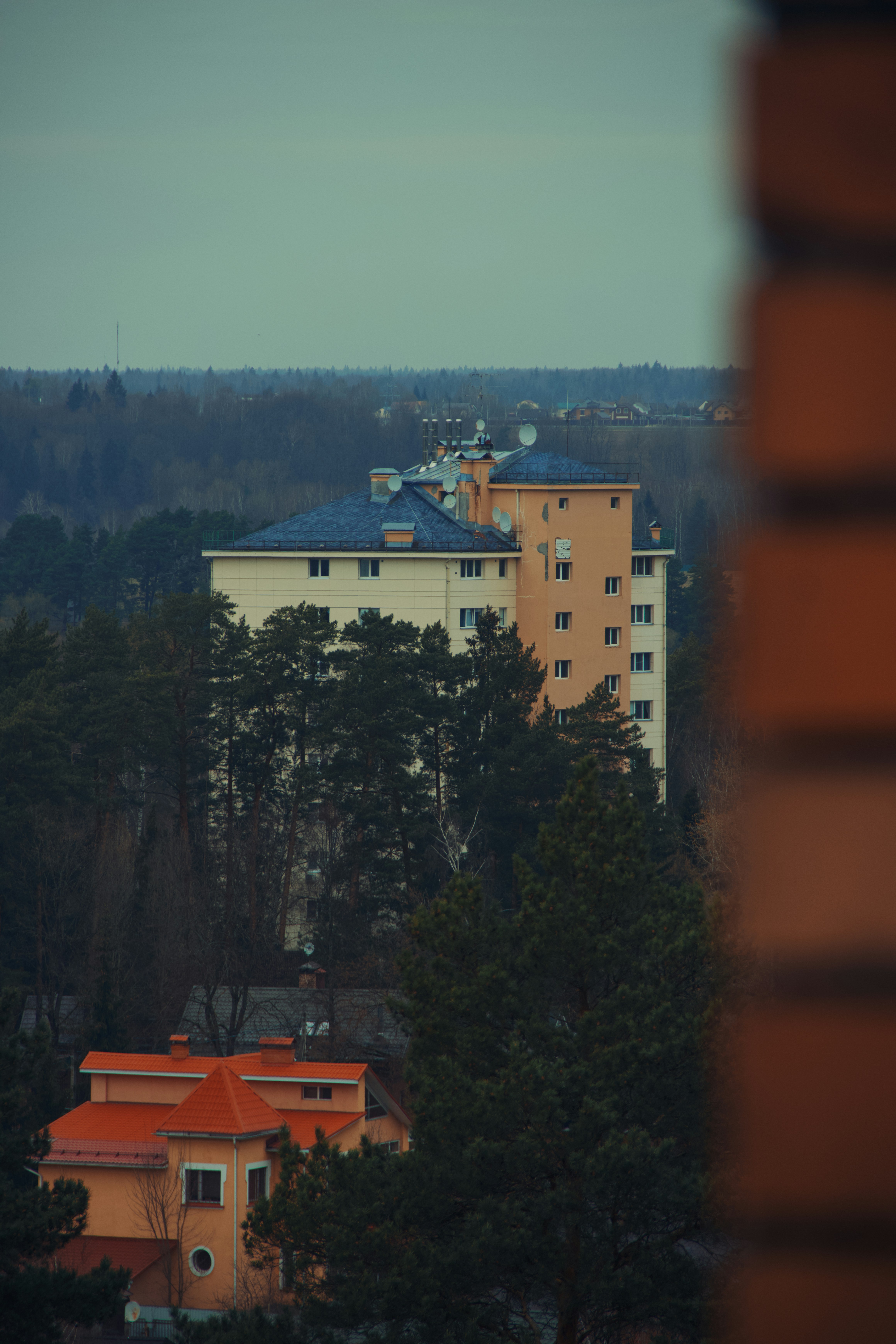 Brick and Pine: A Quiet Climb Through the Cityscape