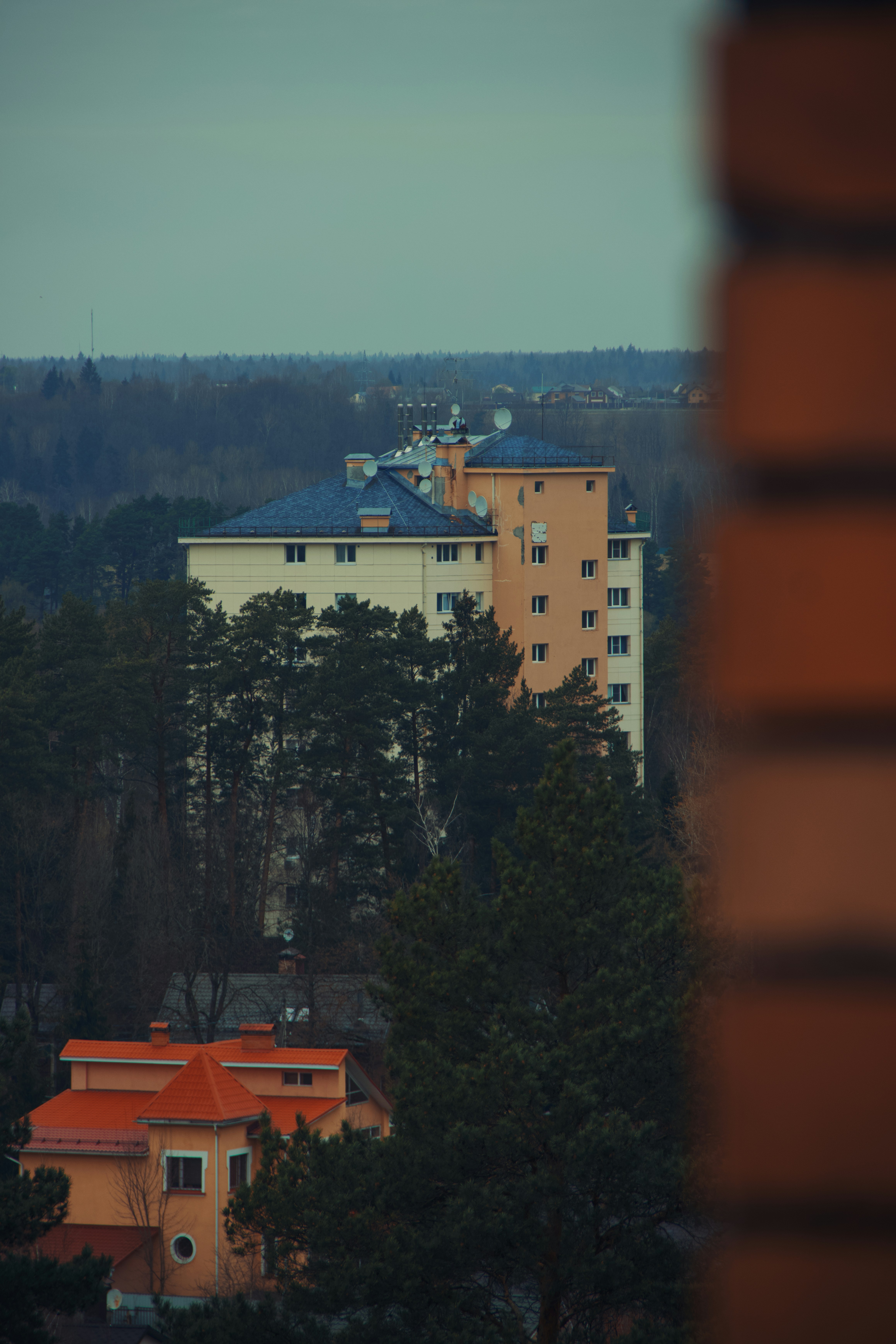 Urban Oasis Among Pines: A Corner of Colorful Apartments Rise Through the Trees